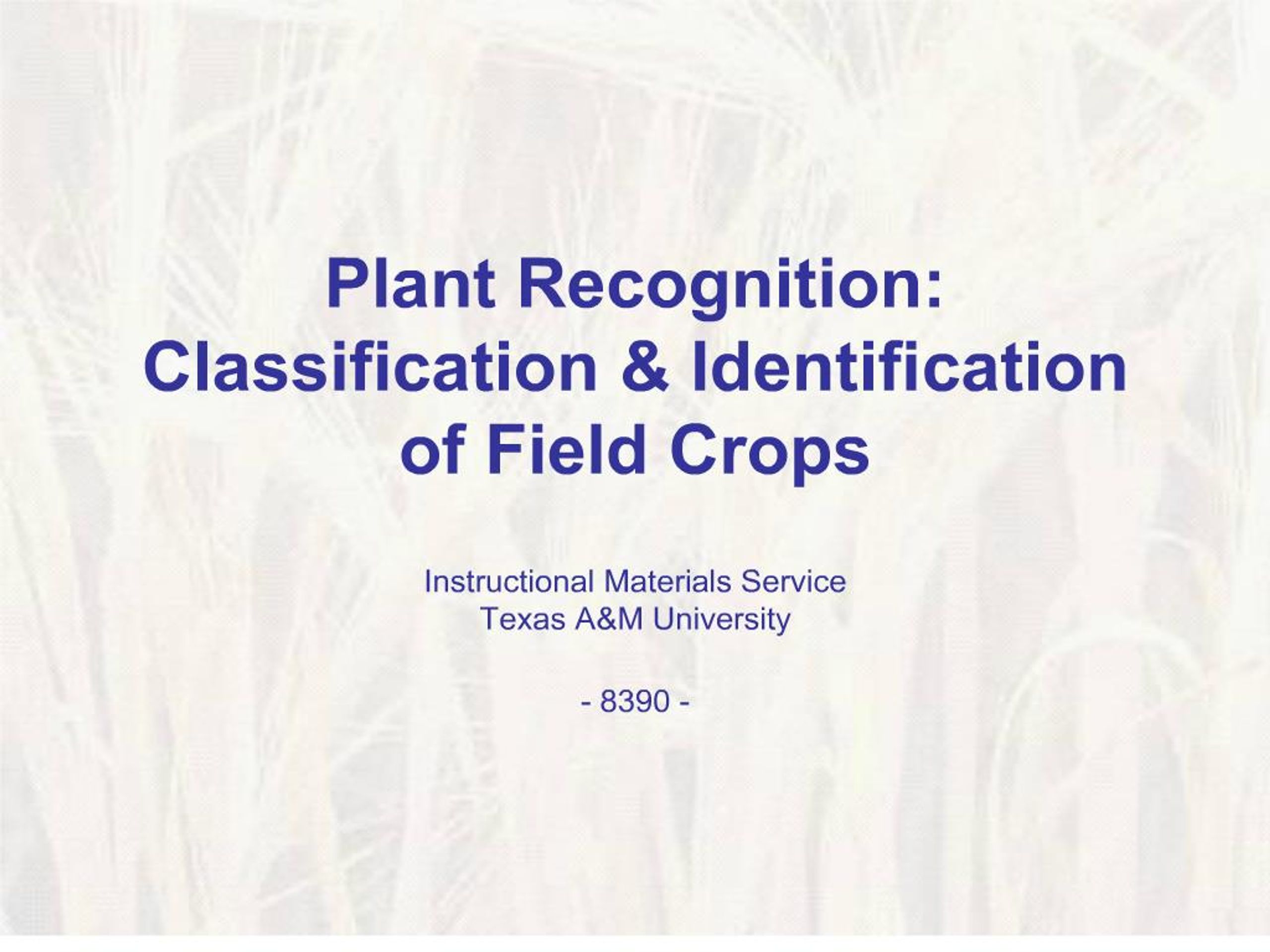 PPT - Plant Recognition: Classification Identification of Field Crops PowerPoint Presentation ...