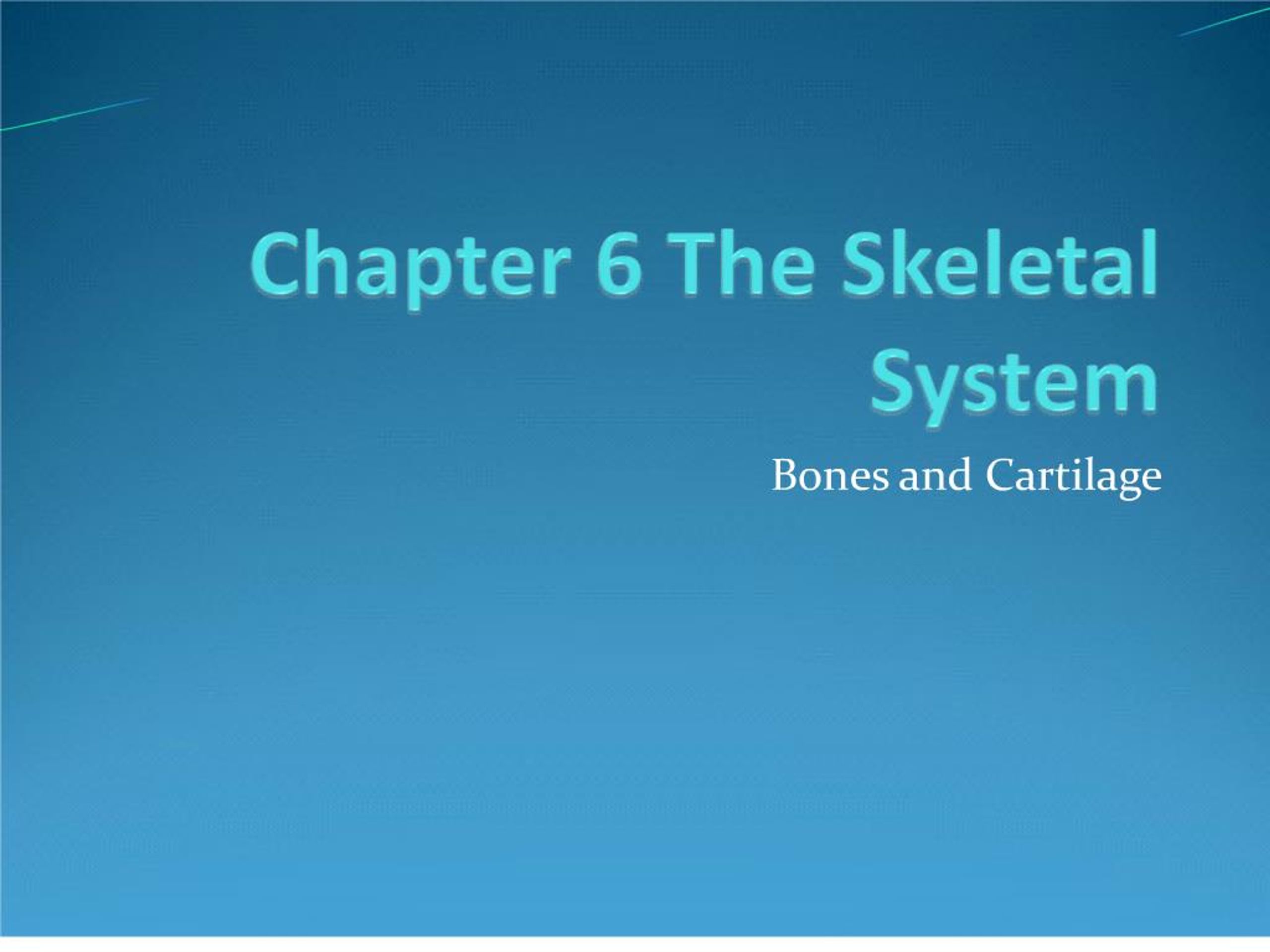 PPT - Chapter 6 The Skeletal System PowerPoint Presentation, free ...