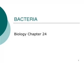 PPT - Bacteria PowerPoint Presentation, free download - ID:2923805