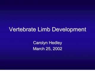 PPT - Tetrapod Limb Development PowerPoint Presentation, free download ...