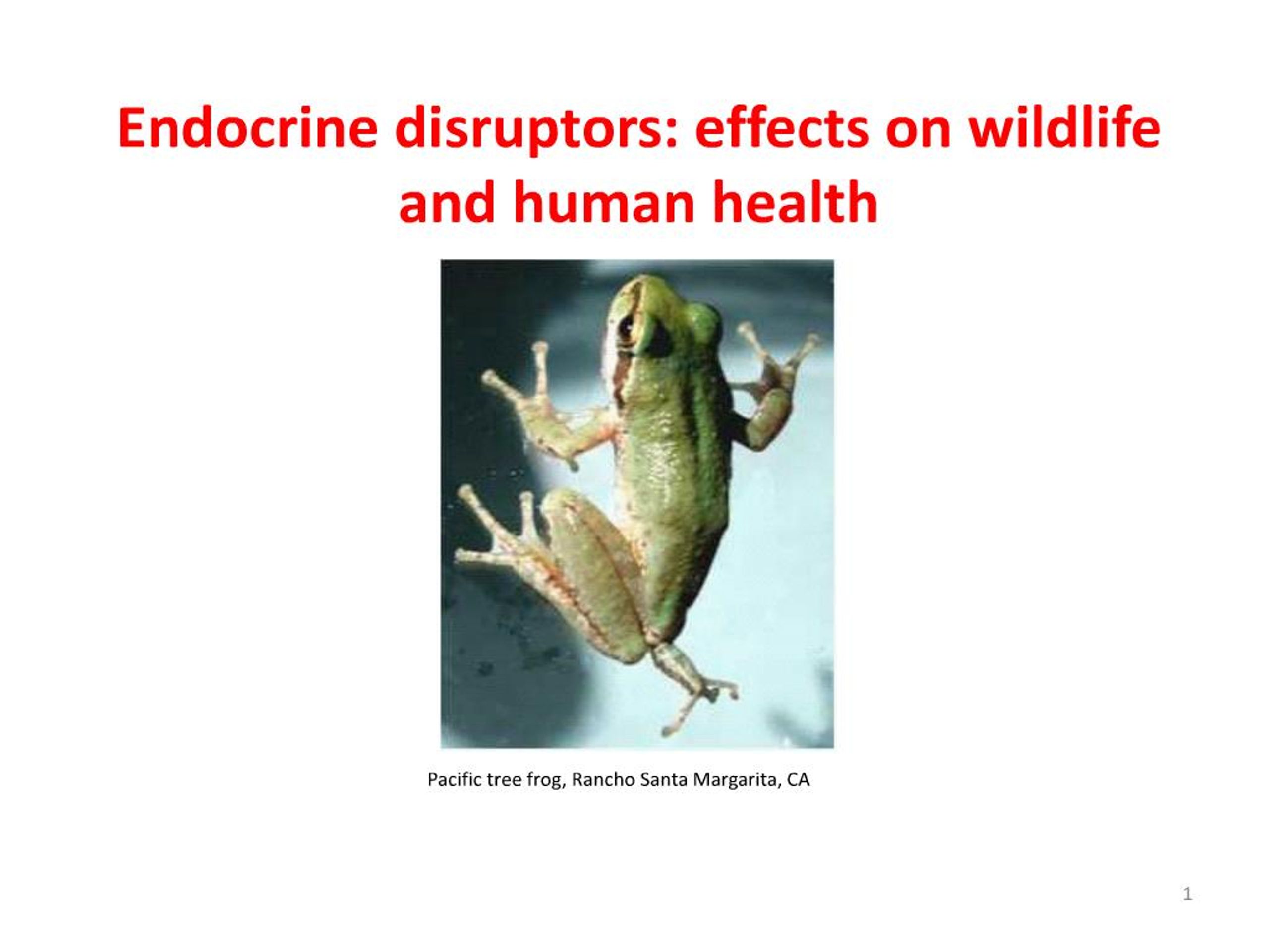 PPT - Endocrine disruptors: effects on wildlife and human health ...