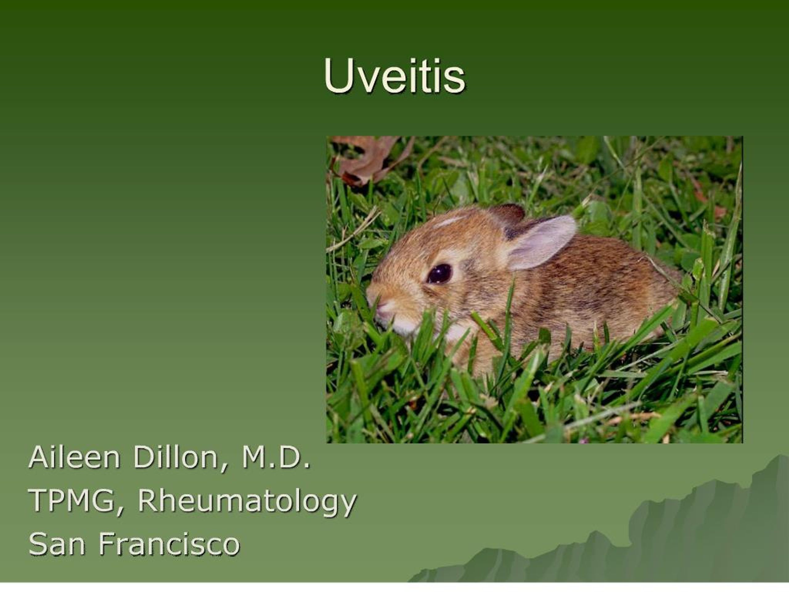 PPT - Uveitis PowerPoint Presentation, free download - ID:187532
