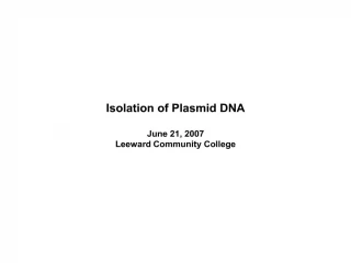PPT - Plasmid DNA Isolation PowerPoint Presentation, free download - ID ...