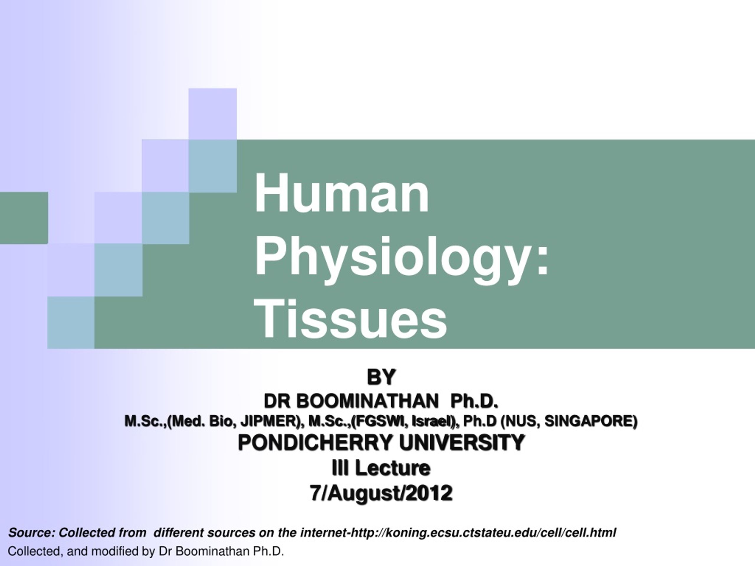 PPT - Human Physiology: Tissues PowerPoint Presentation, free download ...