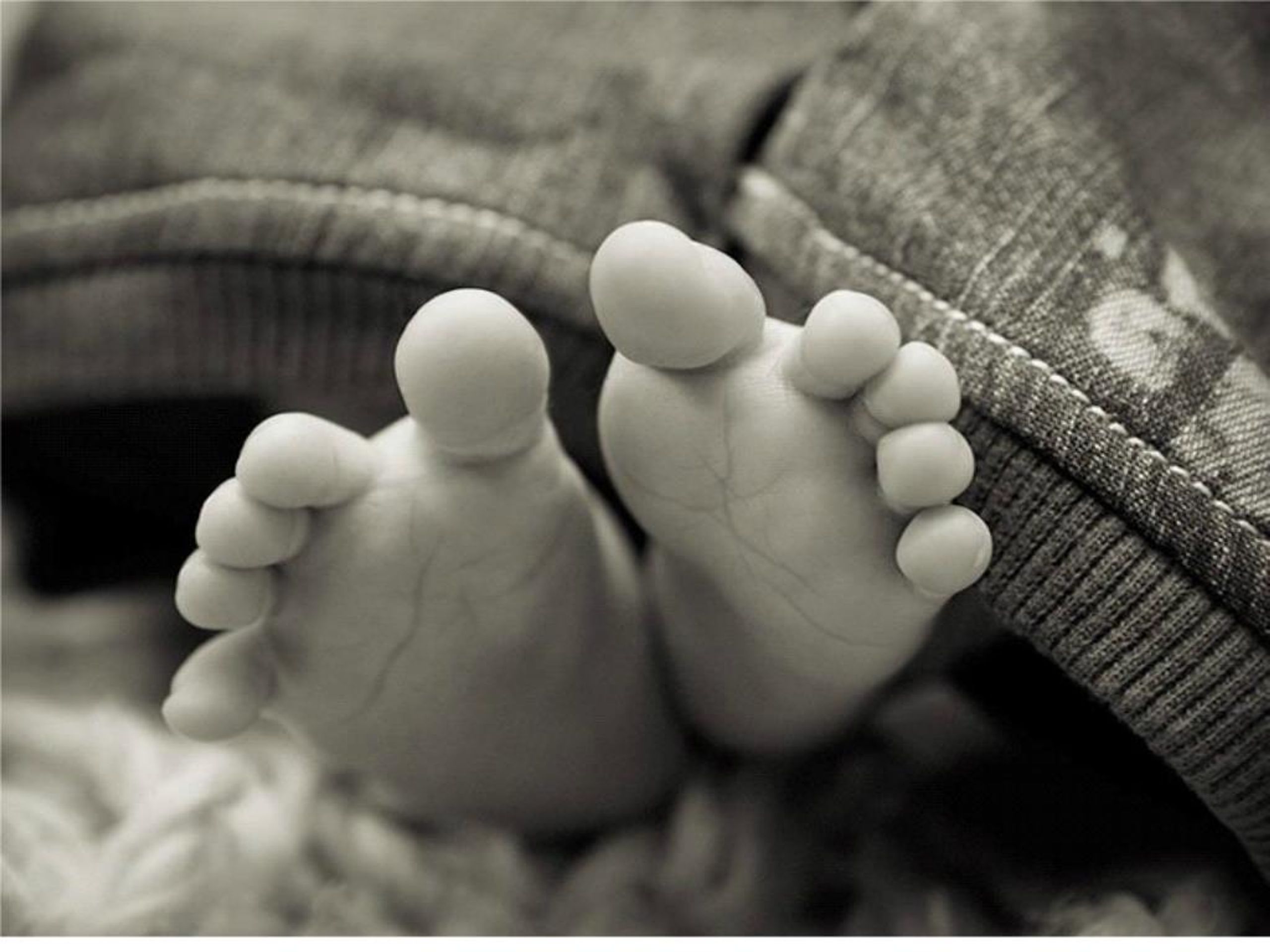 PPT - MITSL Meaning, Imagery, Tone, Structure, Language My Itchy Toes ...