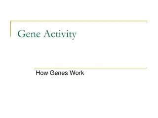 PPT - Chap. 5. Molecular tools for studying genes and gene activity ...