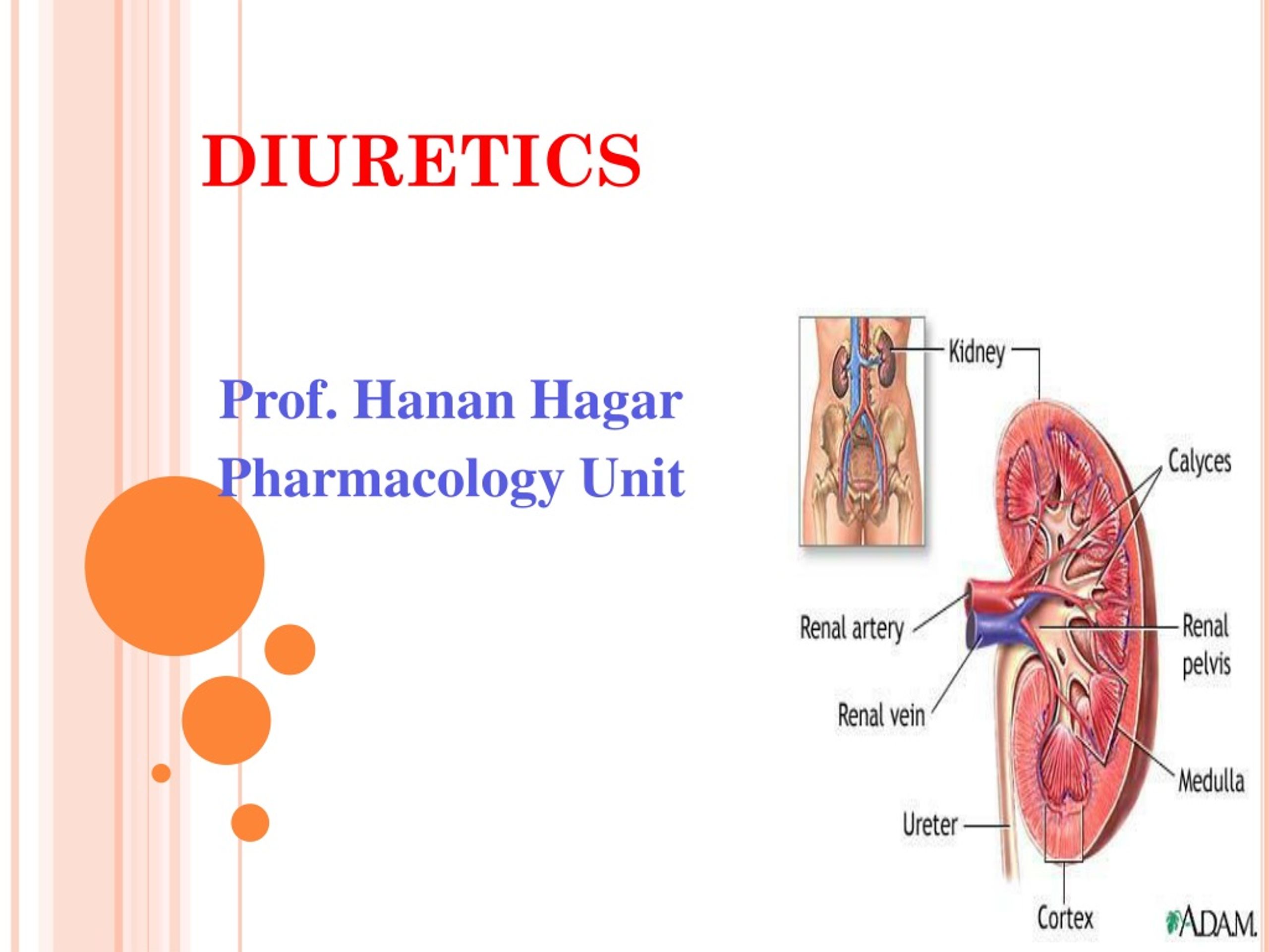 PPT - DIURETICS PowerPoint Presentation, free download - ID:210978