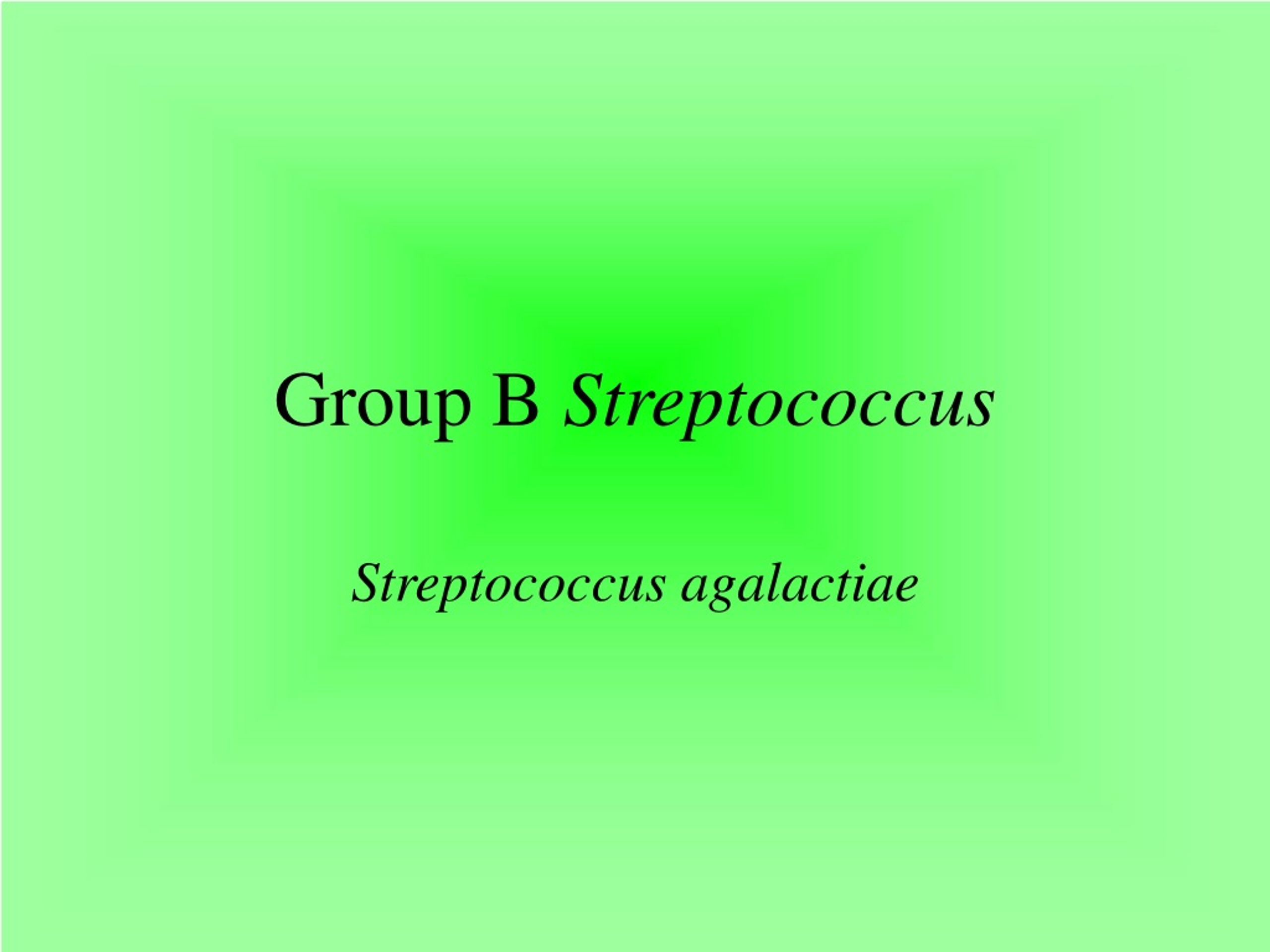 PPT - Group B Streptococcus PowerPoint Presentation, free download - ID ...