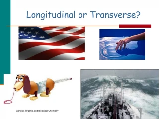 PPT - Transverse Wave PowerPoint Presentation, free download - ID:6075233