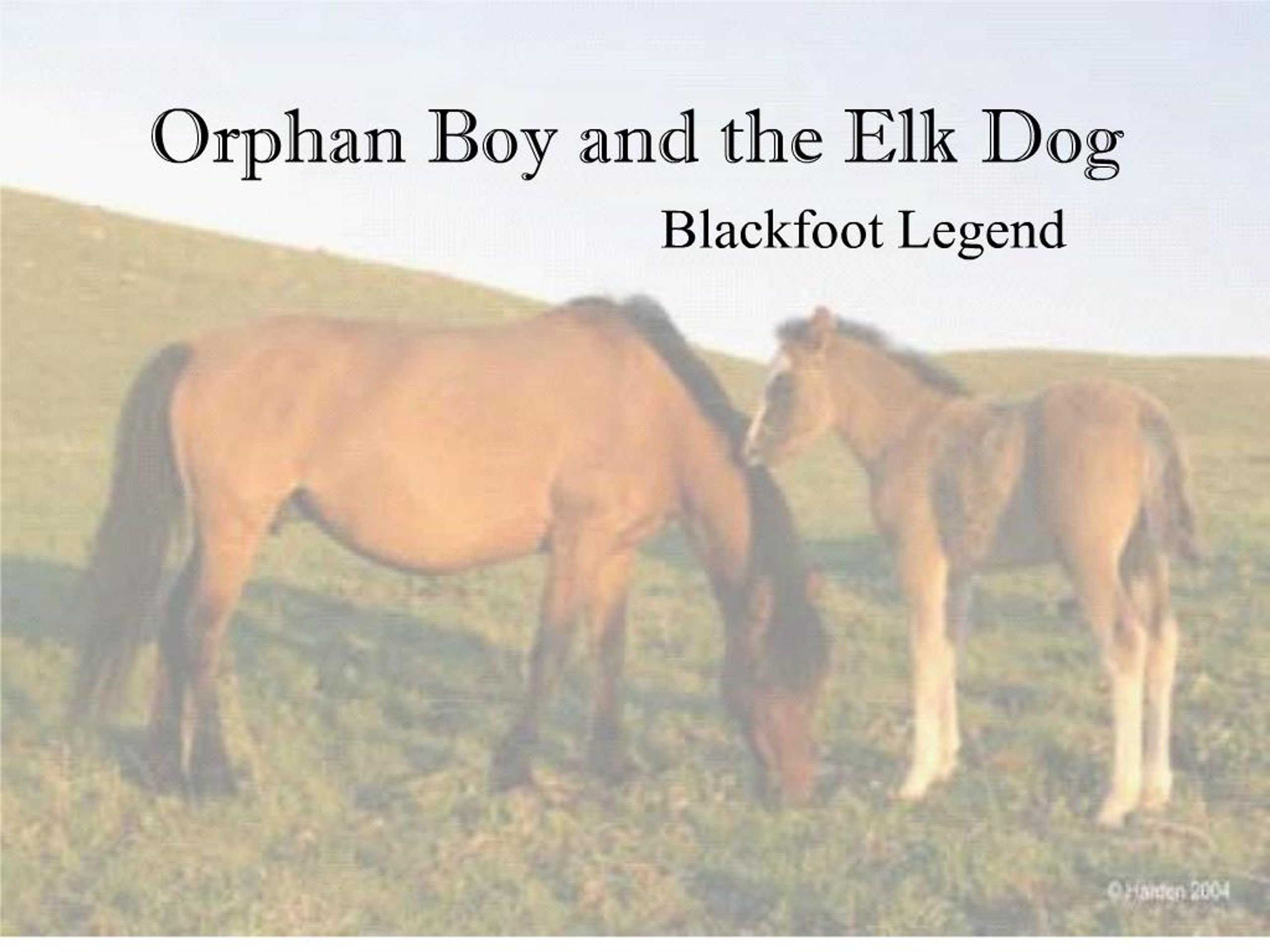 PPT - Orphan Boy and the Elk Dog PowerPoint Presentation, free download ...
