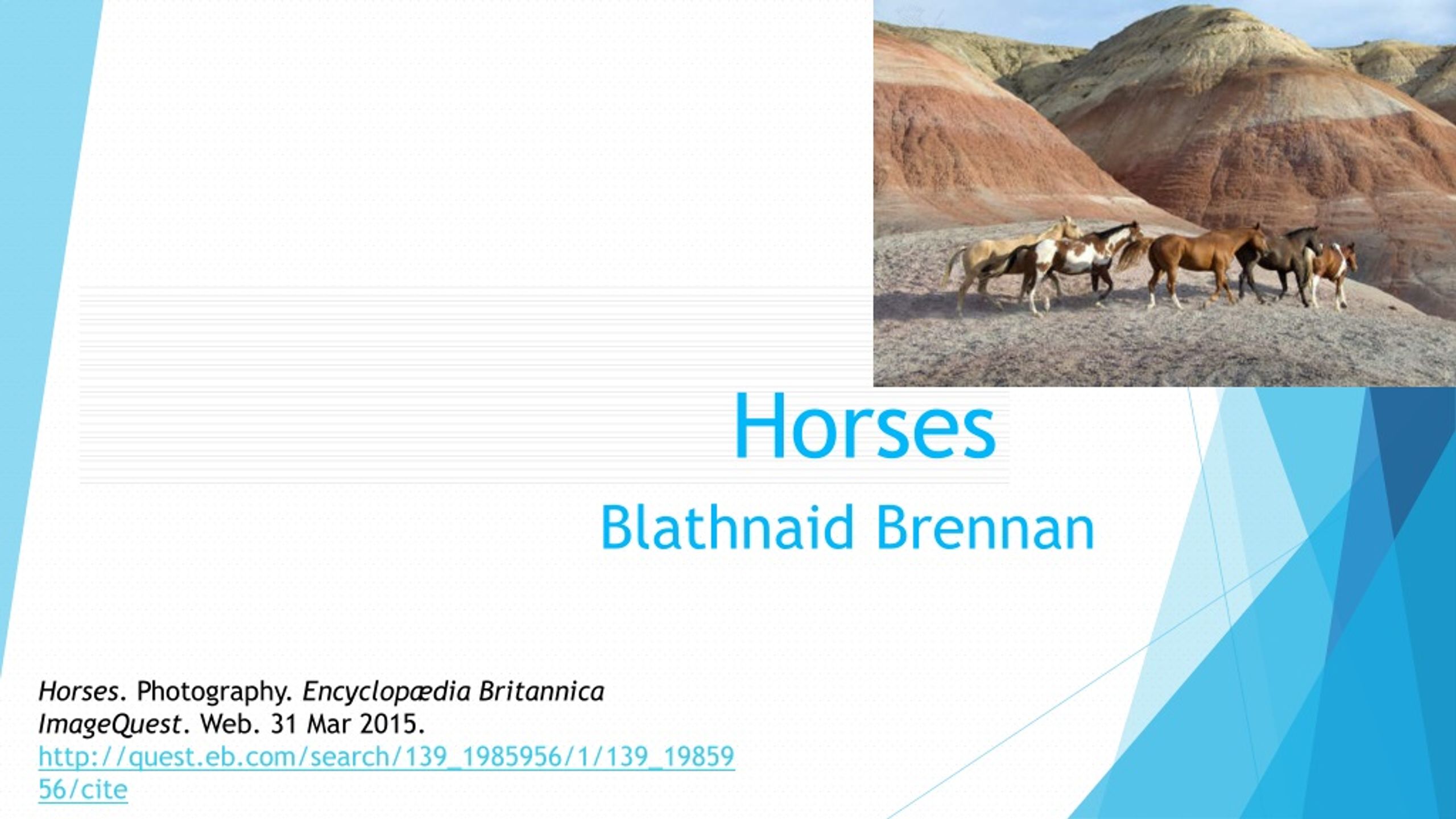 PPT - Horses PowerPoint Presentation, free download - ID:2180