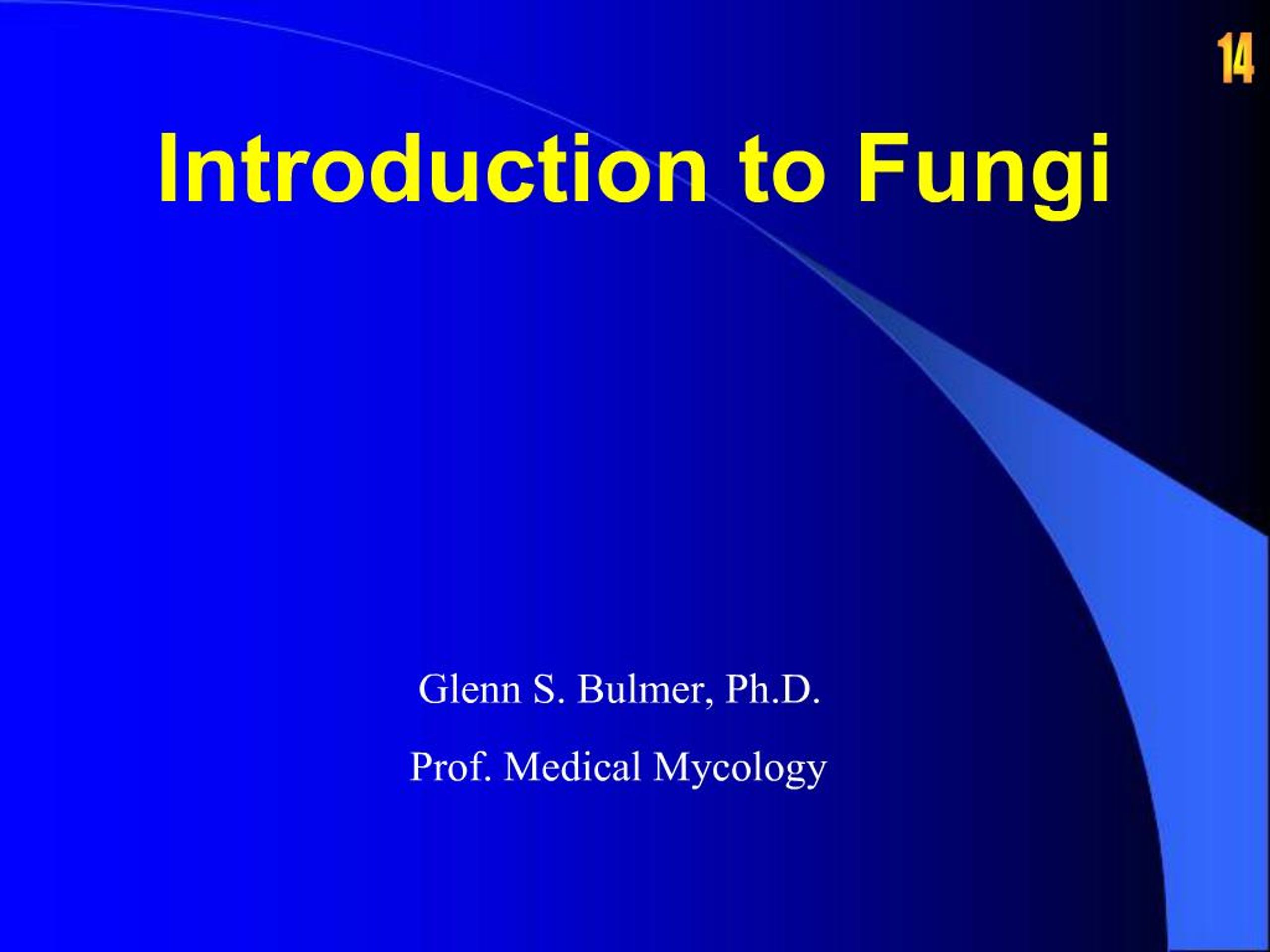 PPT - Introduction to Fungi PowerPoint Presentation, free download - ID ...
