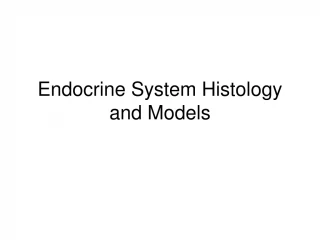 PPT - Digestive System Cat, Histology and Models PowerPoint ...