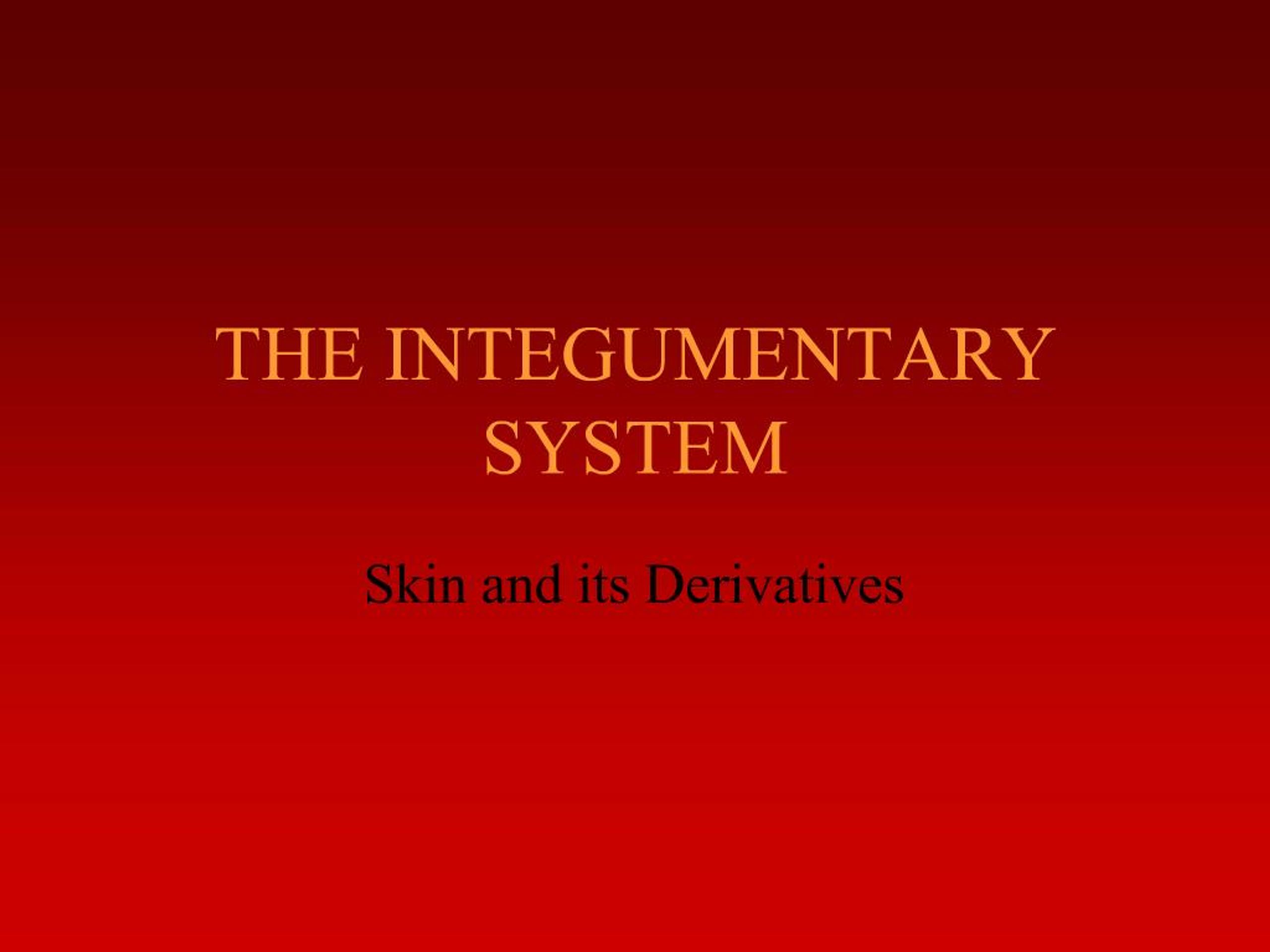 PPT - THE INTEGUMENTARY SYSTEM PowerPoint Presentation, free download ...