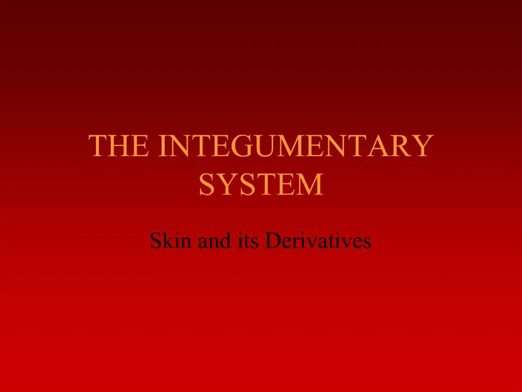 PPT - THE INTEGUMENTARY SYSTEM PowerPoint Presentation, free download ...