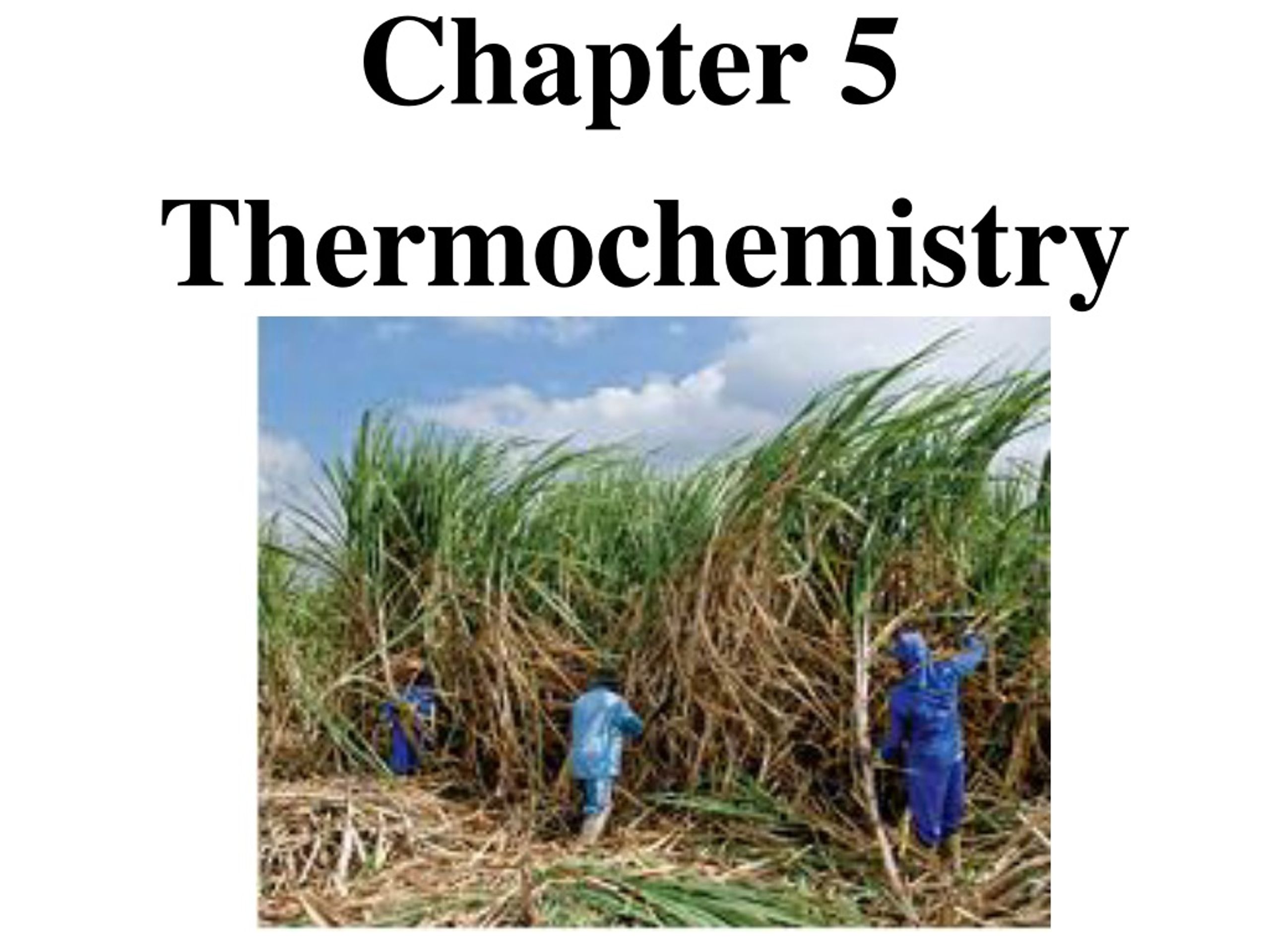 PPT - Chapter 5 Thermochemistry PowerPoint Presentation, free download ...