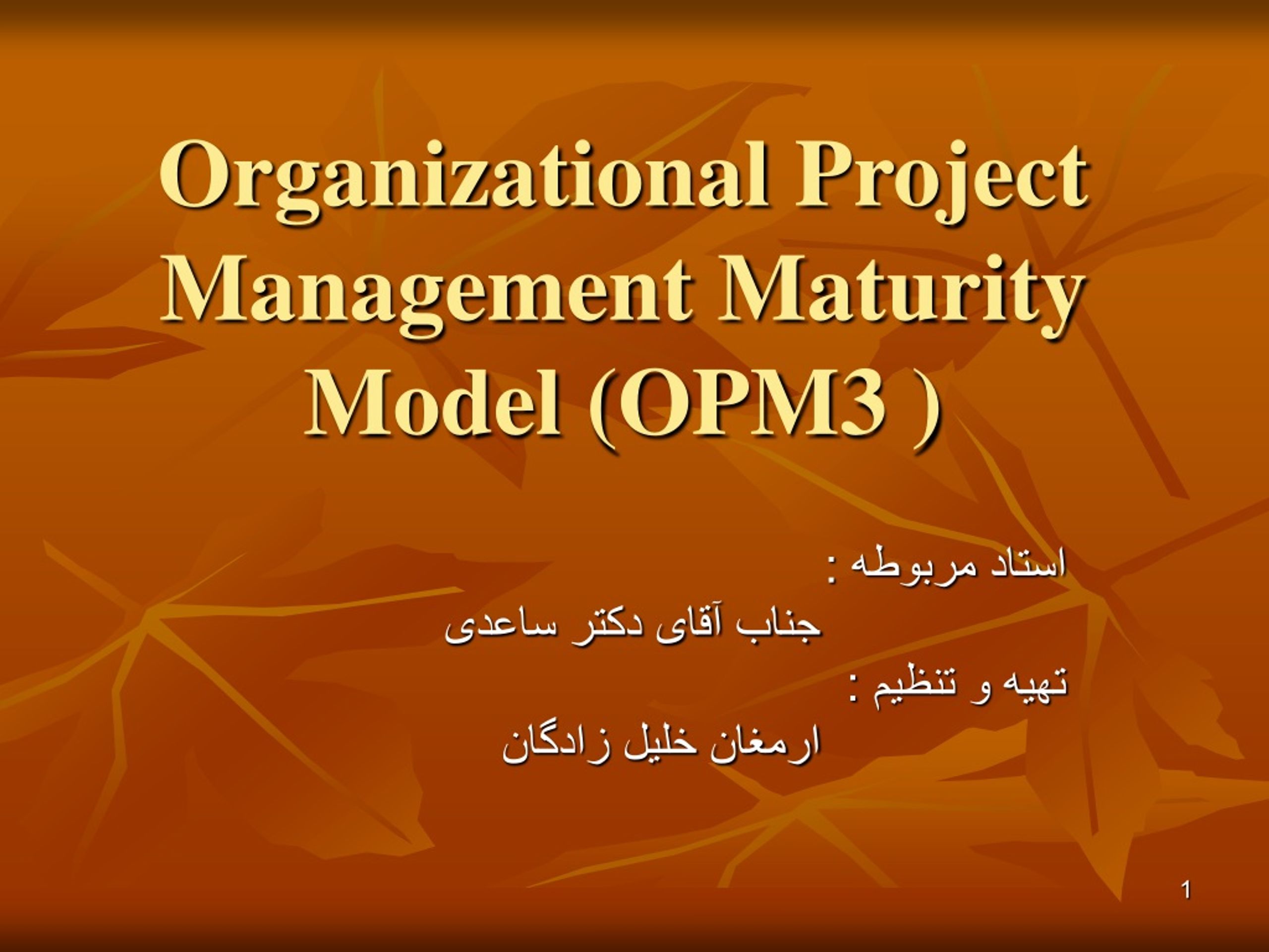 PPT - Organizational Project Management Maturity Model (OPM3 ...