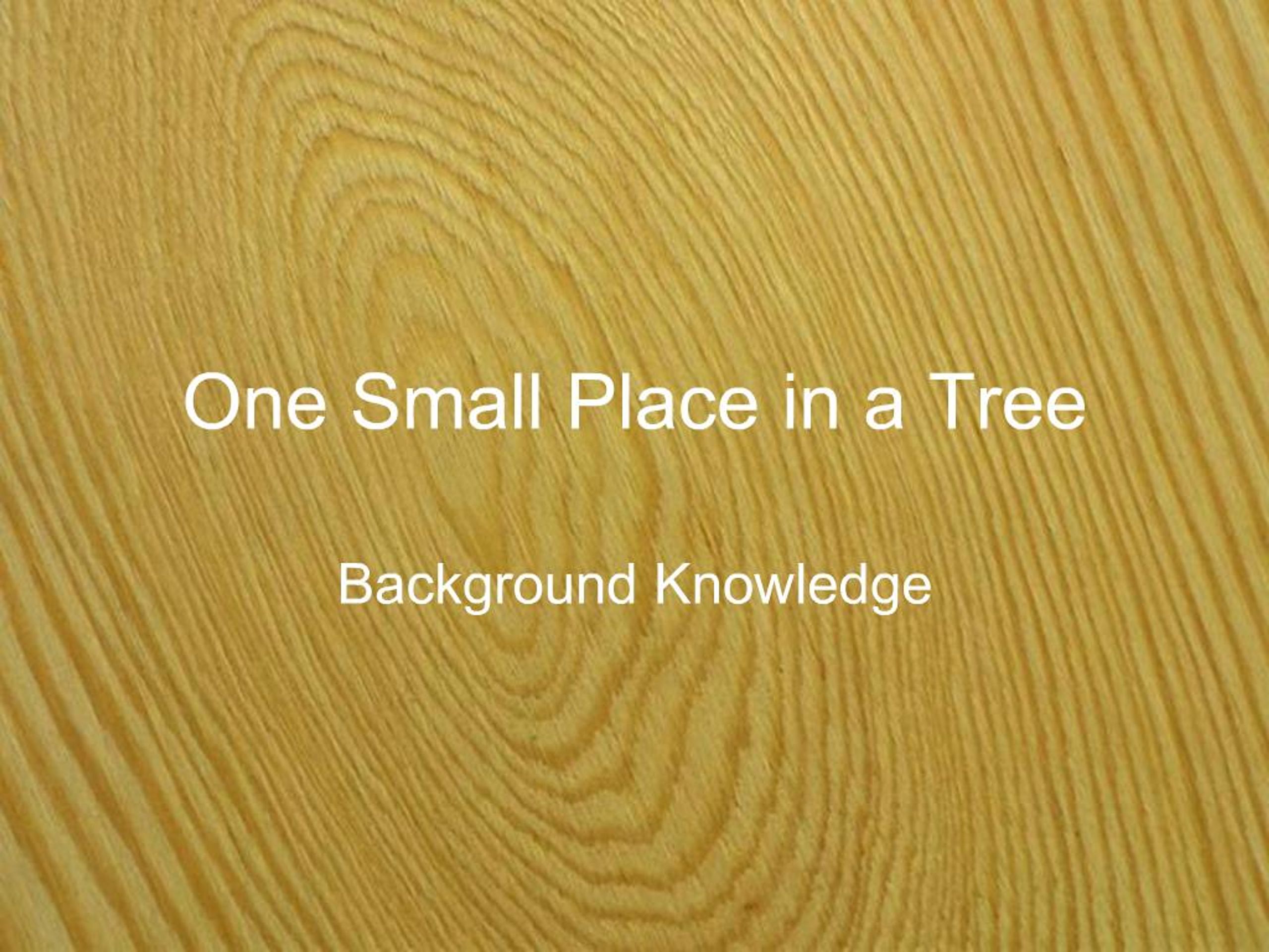 PPT - One Small Place in a Tree PowerPoint Presentation, free download ...