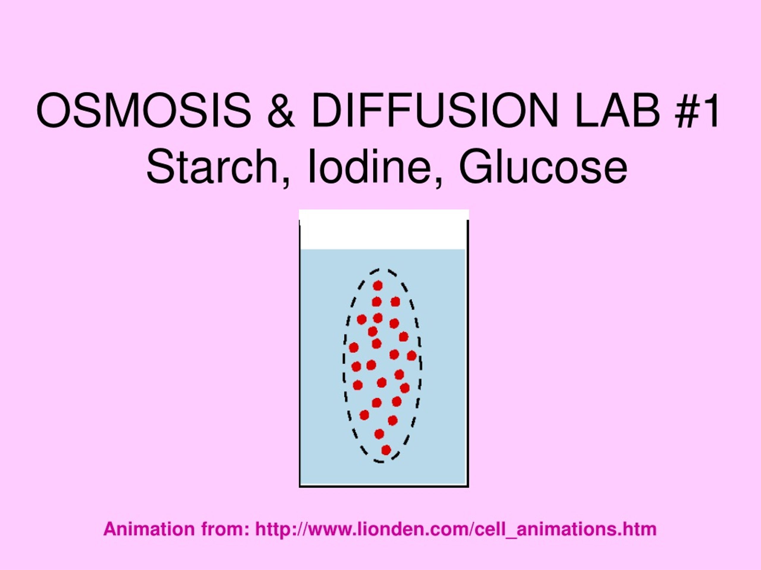 PPT - OSMOSIS & DIFFUSION LAB #1 Starch, Iodine, Glucose PowerPoint ...