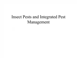 PPT - Insect ID and Management PowerPoint Presentation, free download ...
