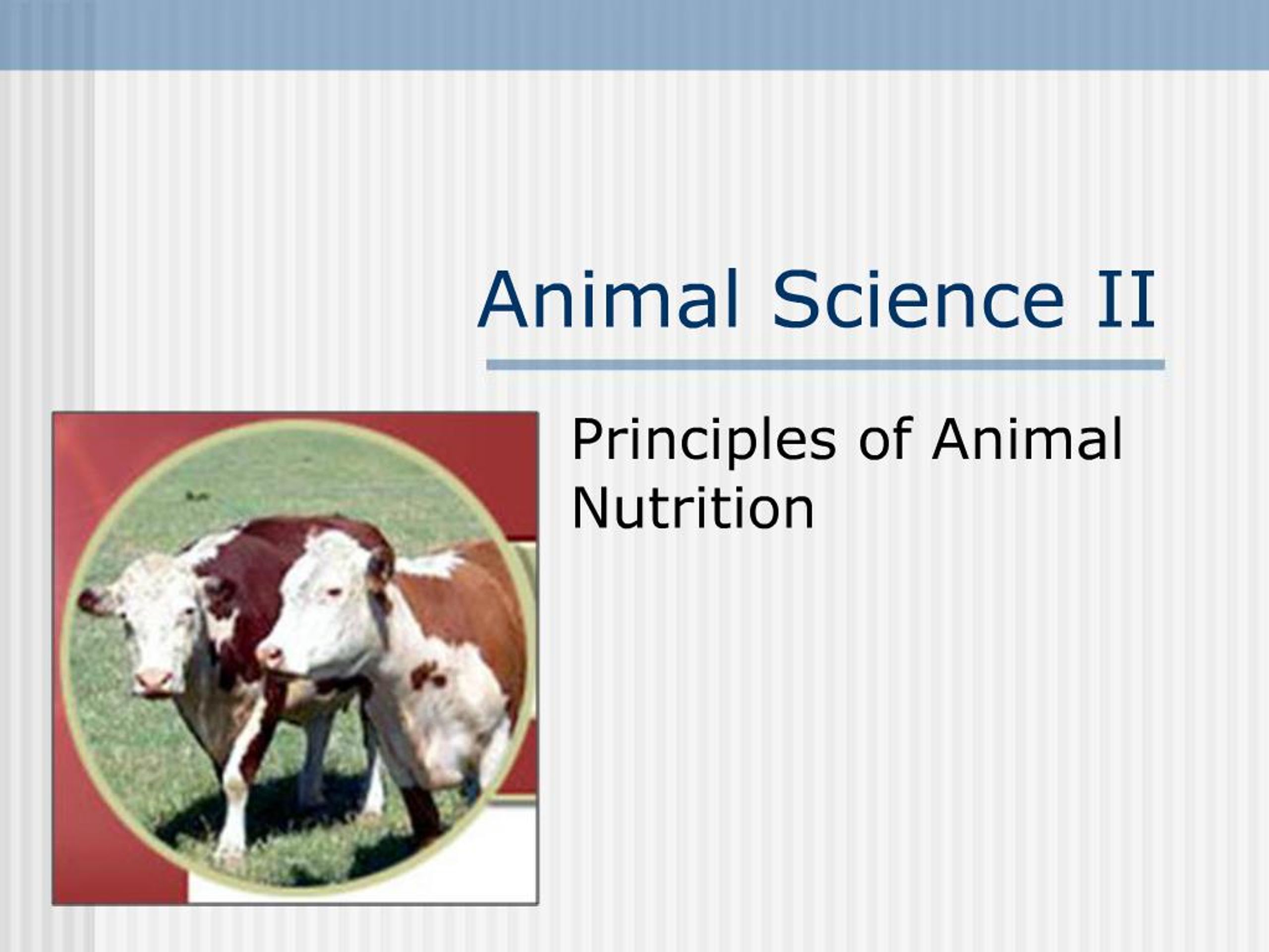 PPT - Animal Science II PowerPoint Presentation, free download - ID:241279