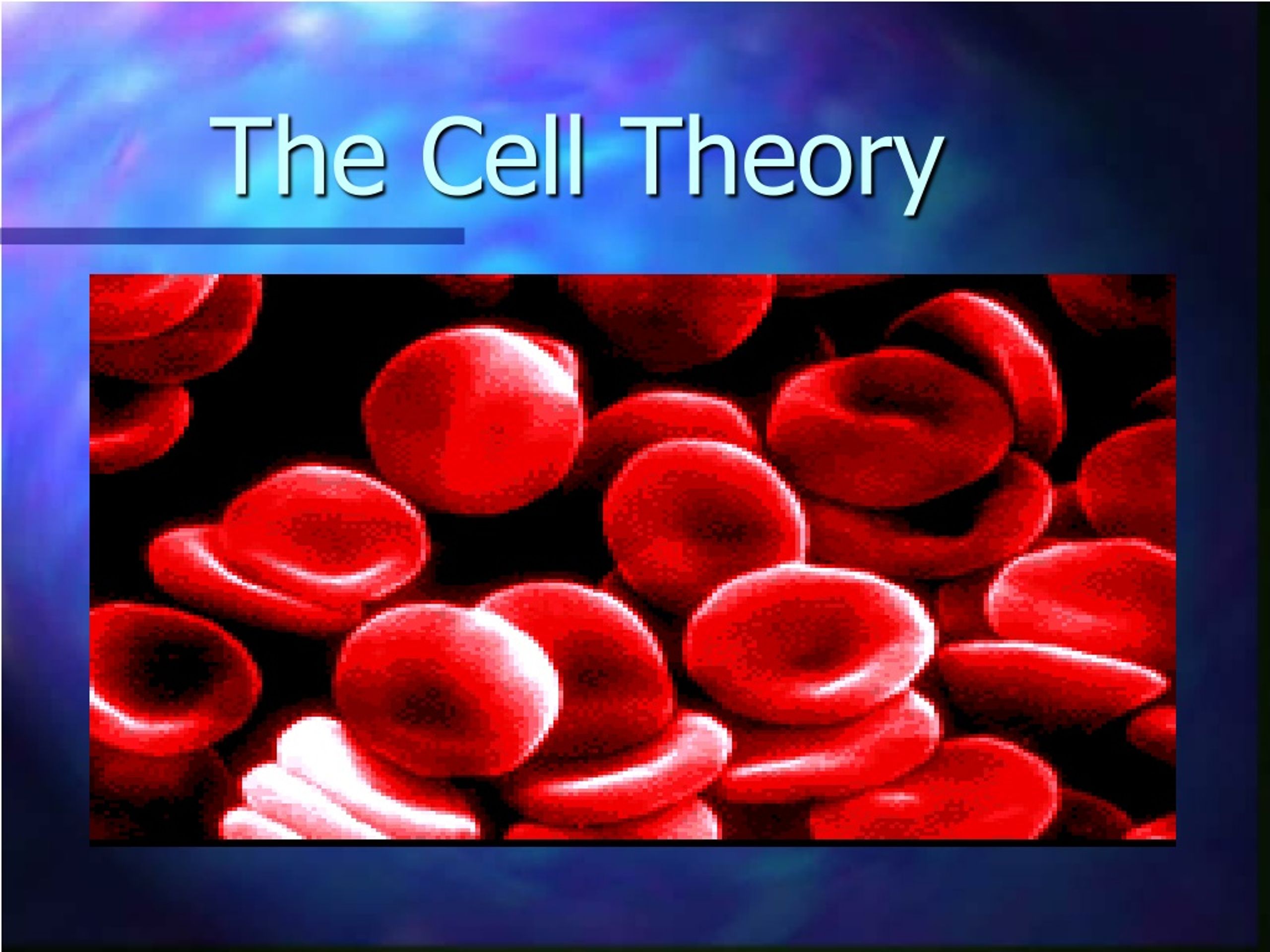 PPT - The Cell Theory PowerPoint Presentation, free download - ID:243008