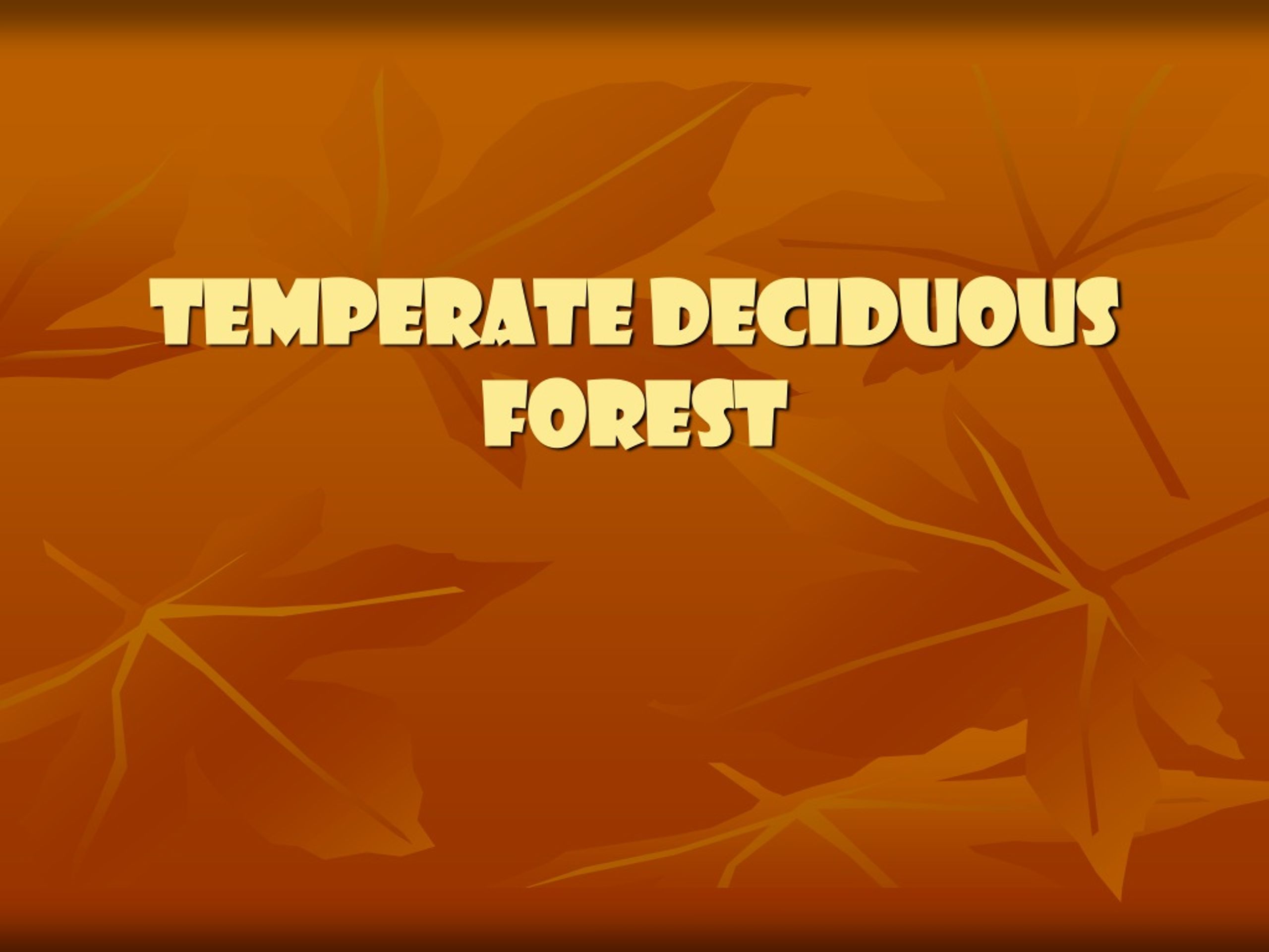 PPT - Temperate Deciduous Forest PowerPoint Presentation, free download - ID:243454