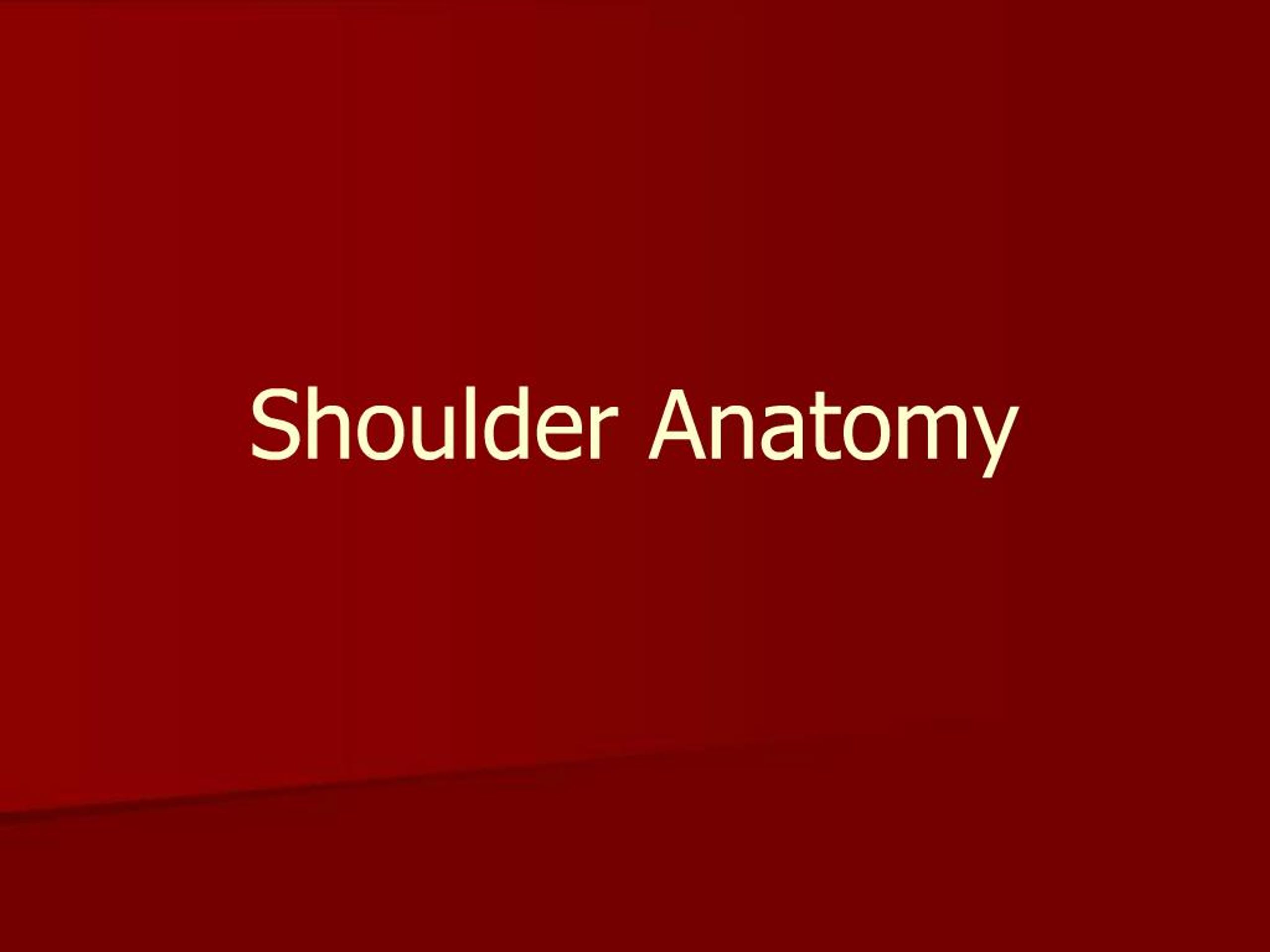 PPT - Shoulder Anatomy PowerPoint Presentation, free download - ID:245868