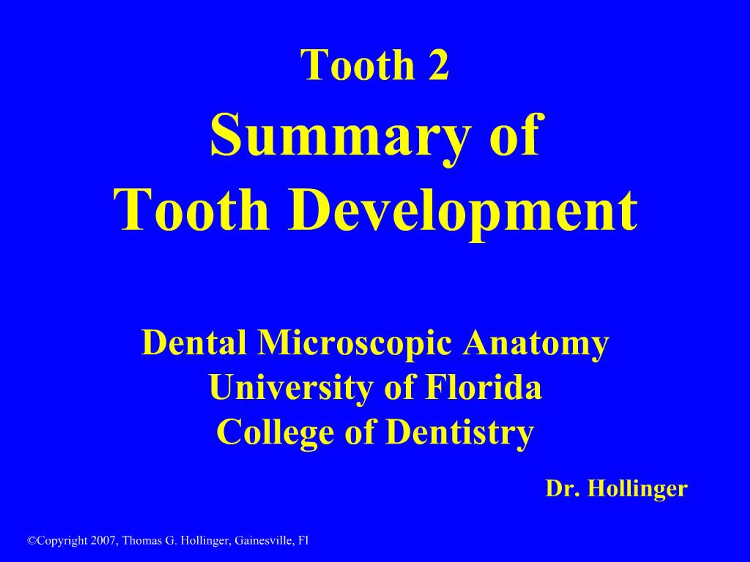 PPT - Tooth 2 Summary of Tooth Development Dental Microscopic Anatomy ...