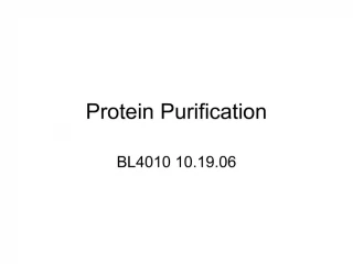 PPT - Protein Purification and Characterization PowerPoint Presentation ...