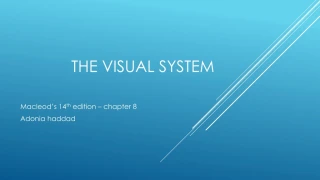 PPT - The visual system PowerPoint Presentation, free download - ID:348877
