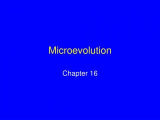 PPT - Darwin & Microevolution PowerPoint Presentation, free download ...