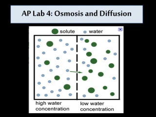 PPT - Brownian Motion & Diffusion PowerPoint Presentation, free ...