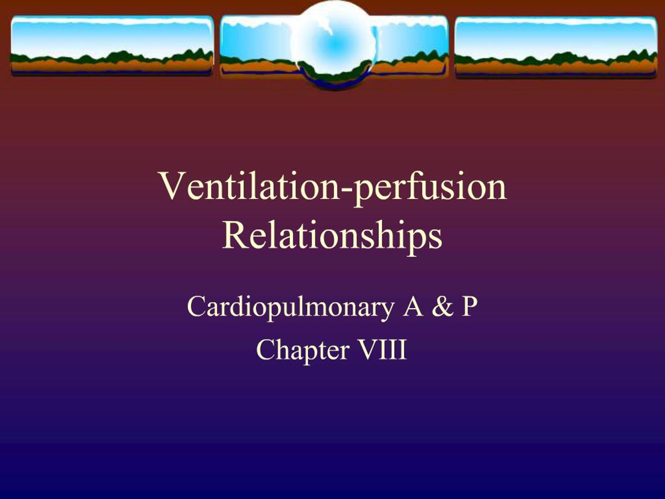 PPT - Ventilation-perfusion Relationships PowerPoint Presentation, free download - ID:259355