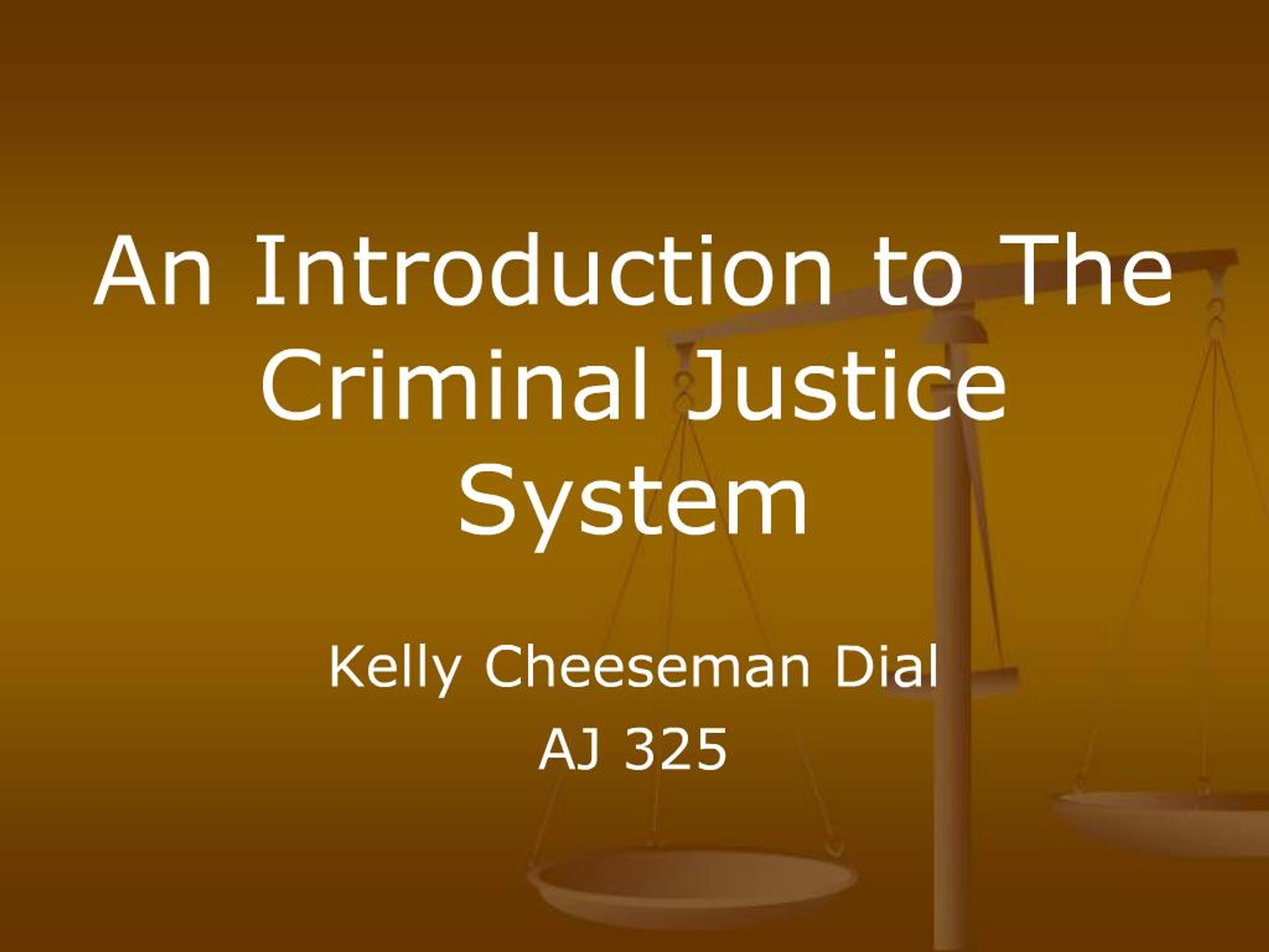 PPT - An Introduction to The Criminal Justice System PowerPoint ...