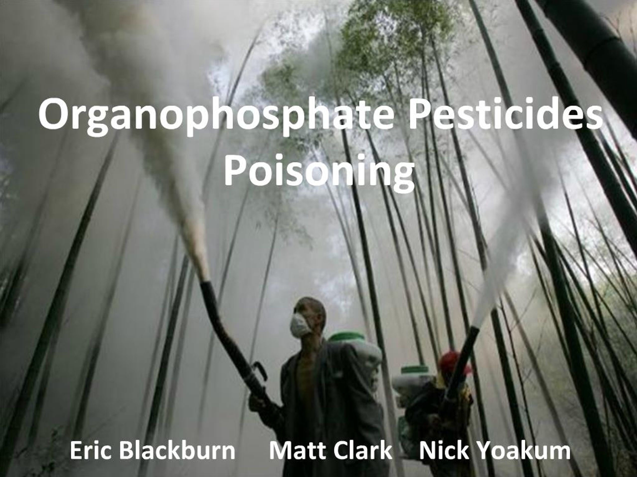 PPT - Organophosphate Pesticides Poisoning PowerPoint Presentation ...