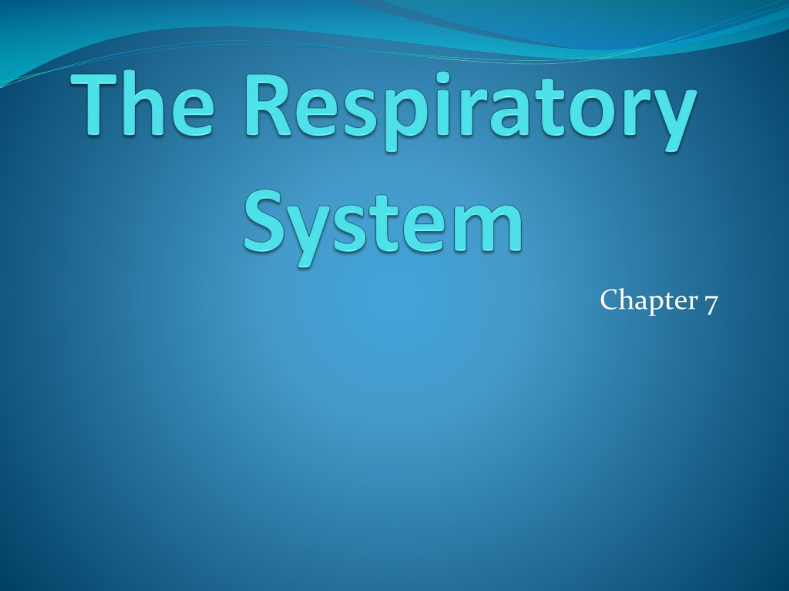 PPT - The Respiratory System PowerPoint Presentation, free download - ID:295710