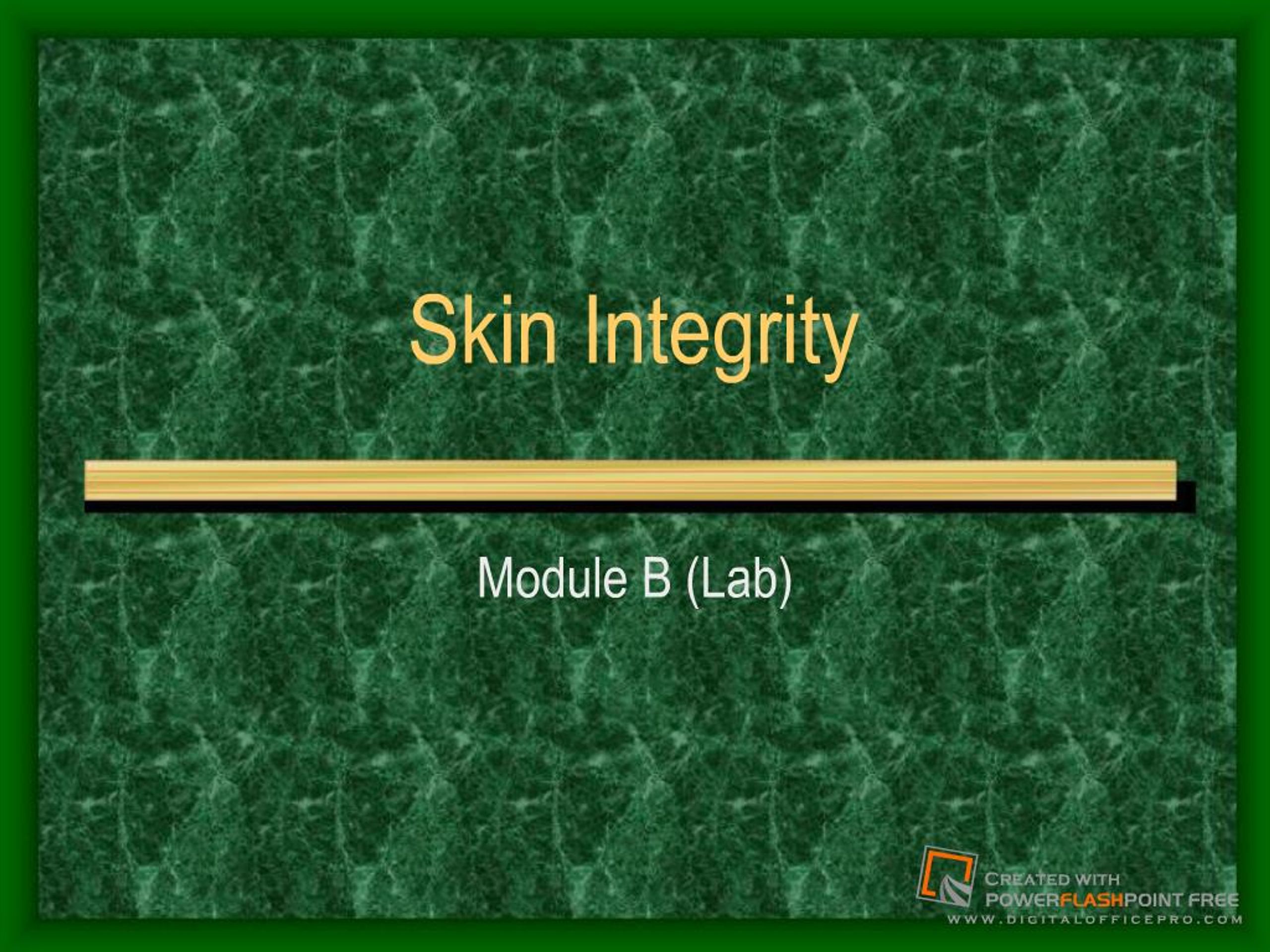PPT - Skin Integrity PowerPoint Presentation, free download - ID:3051