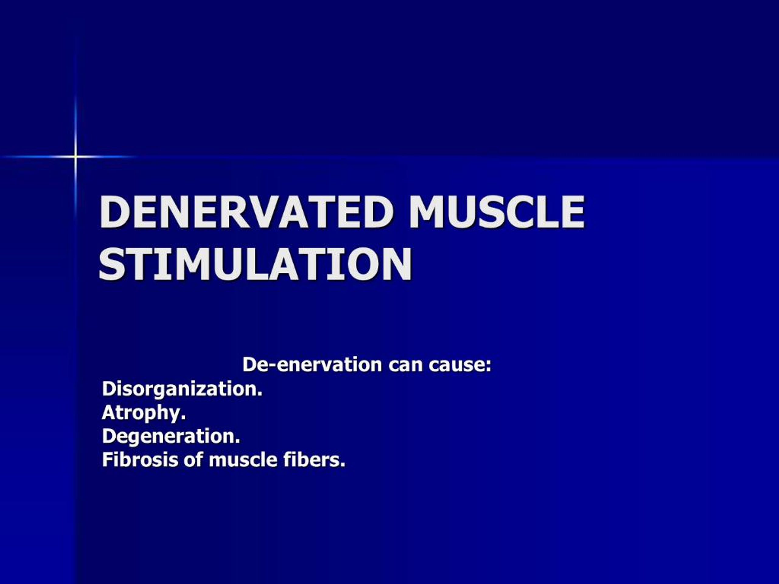 PPT - DENERVATED MUSCLE STIMULATION PowerPoint Presentation, free ...