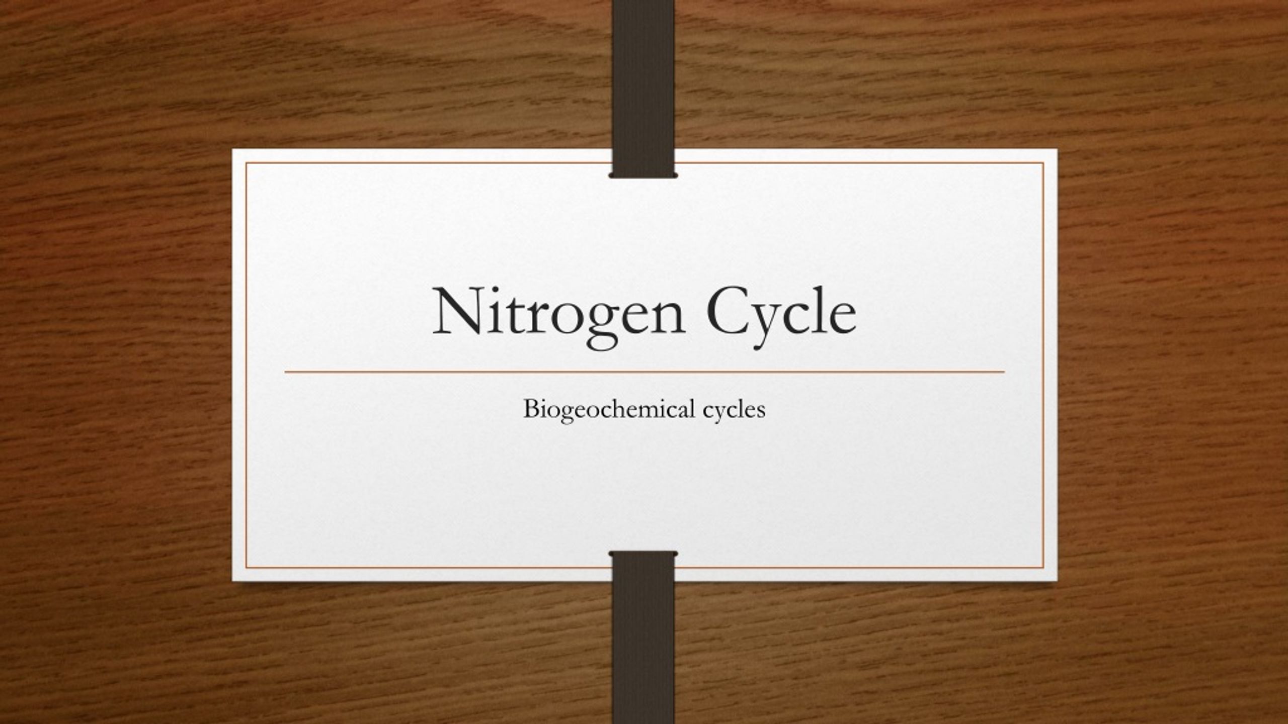 PPT - Nitrogen Cycle PowerPoint Presentation, free download - ID:317778