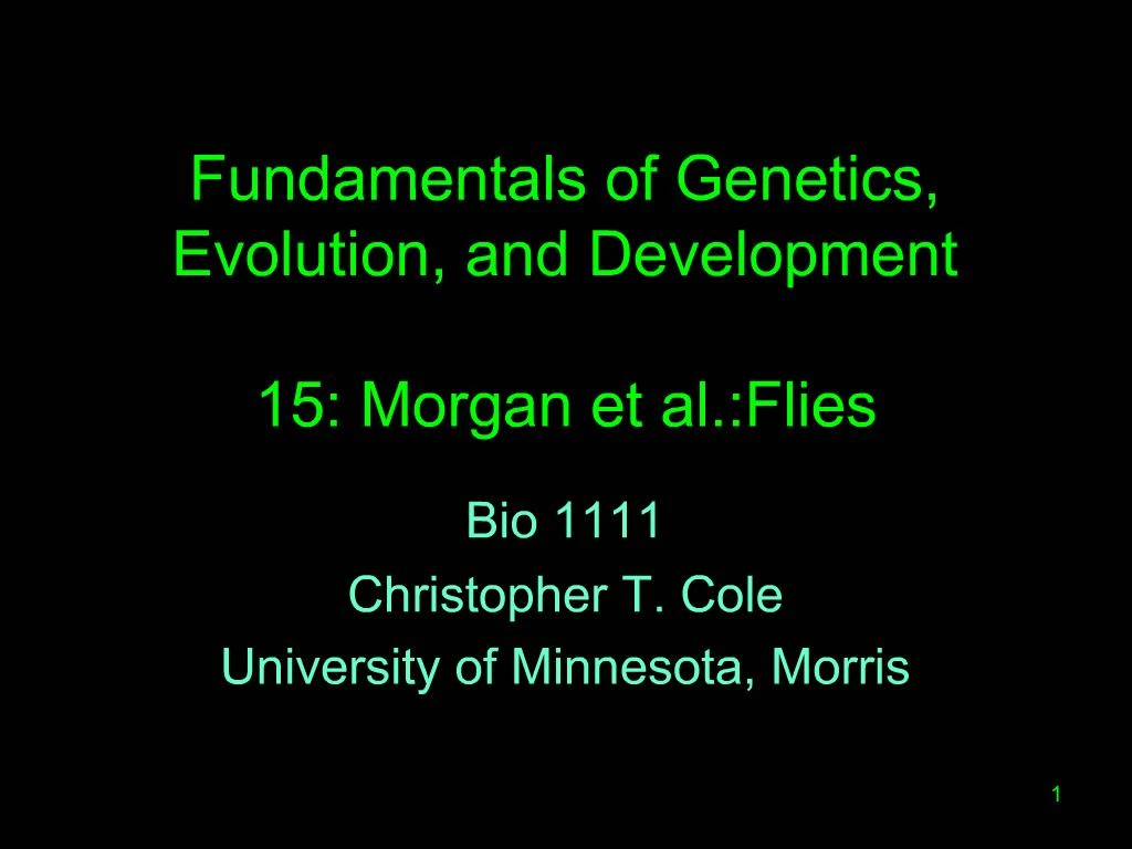 PPT - Fundamentals of Genetics, Evolution, and Development 15: Morgan ...