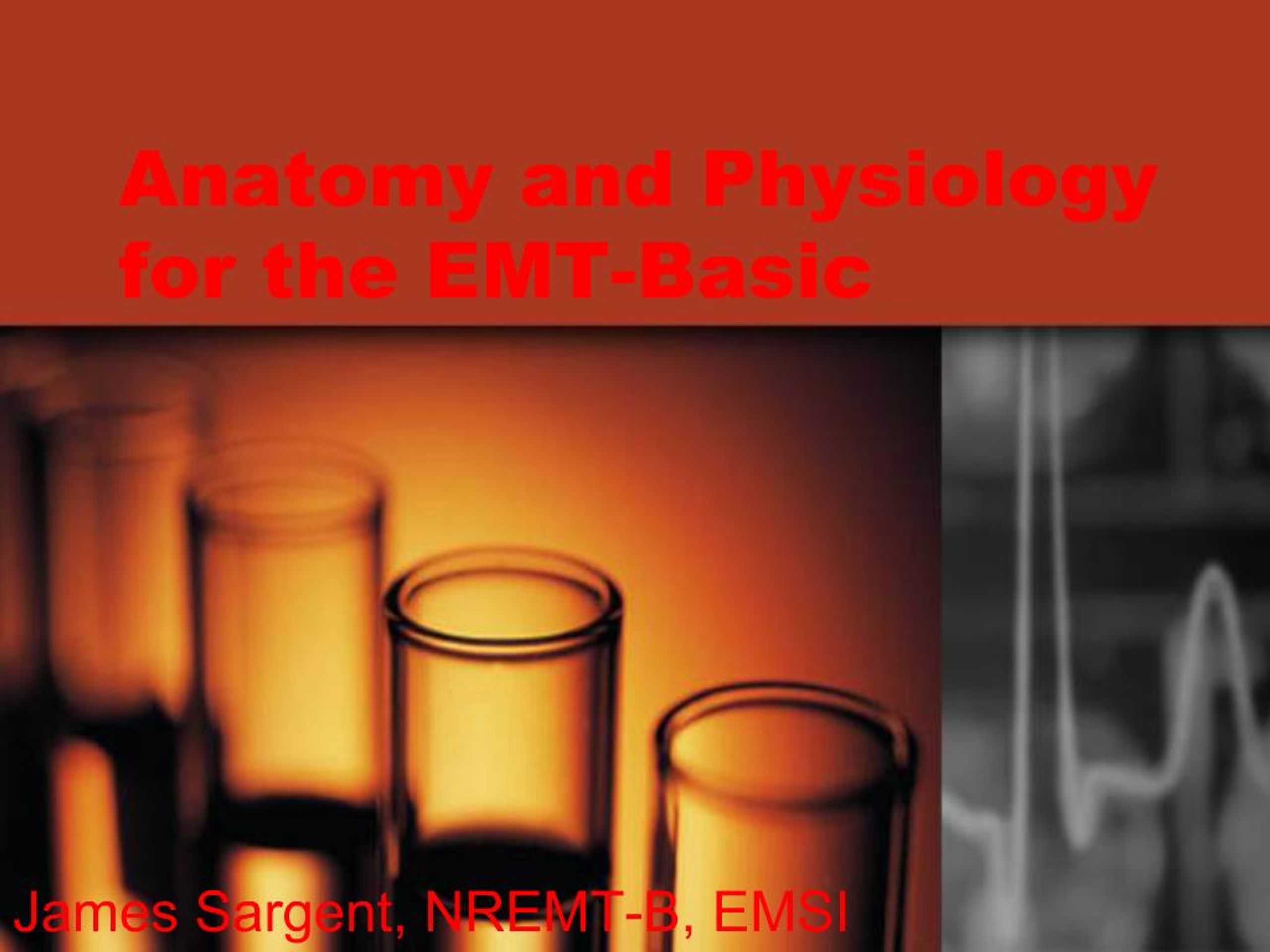 PPT - Anatomy and Physiology for the EMT-Basic PowerPoint Presentation ...
