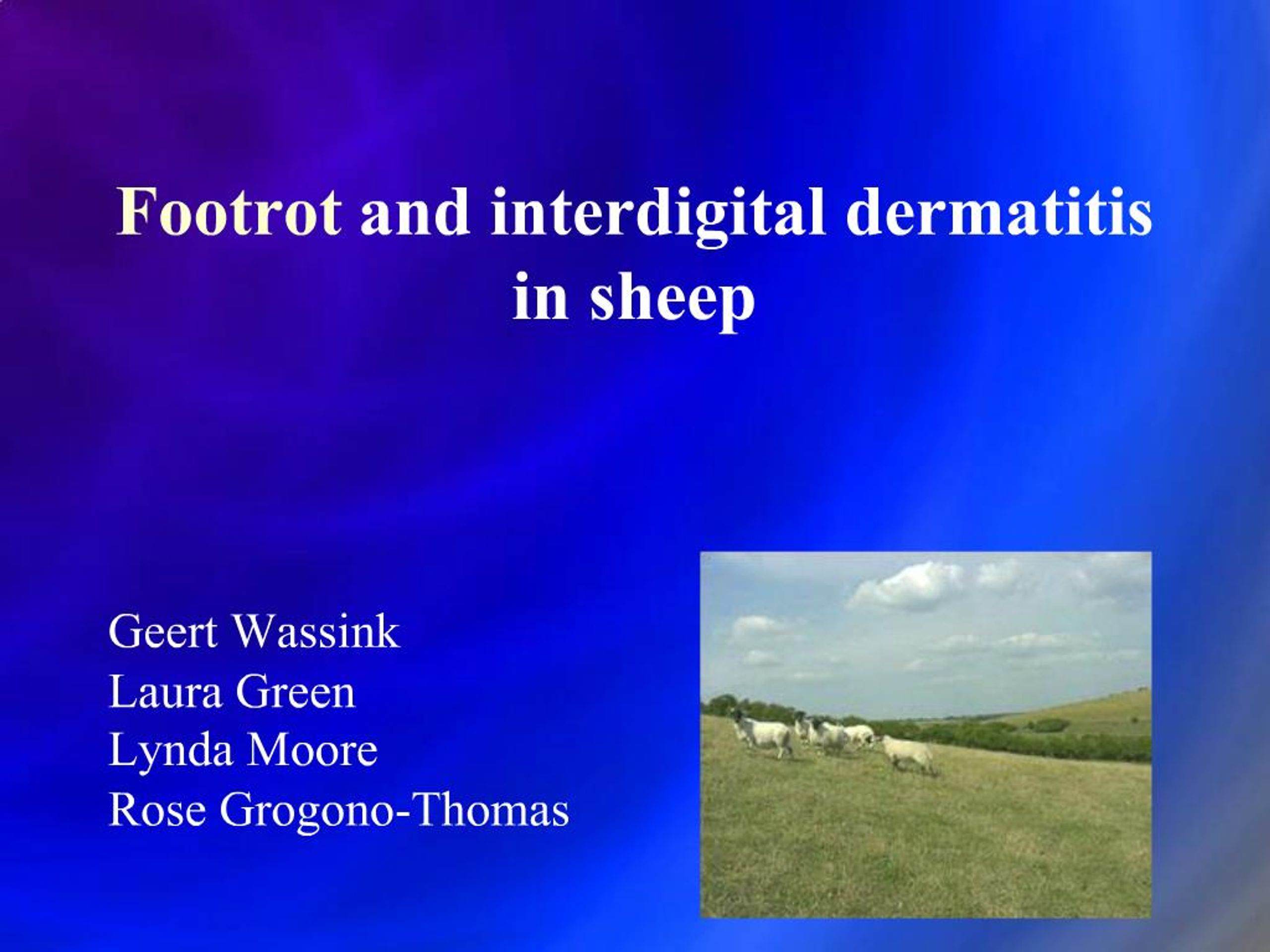 PPT - Footrot and interdigital dermatitis in sheep PowerPoint ...