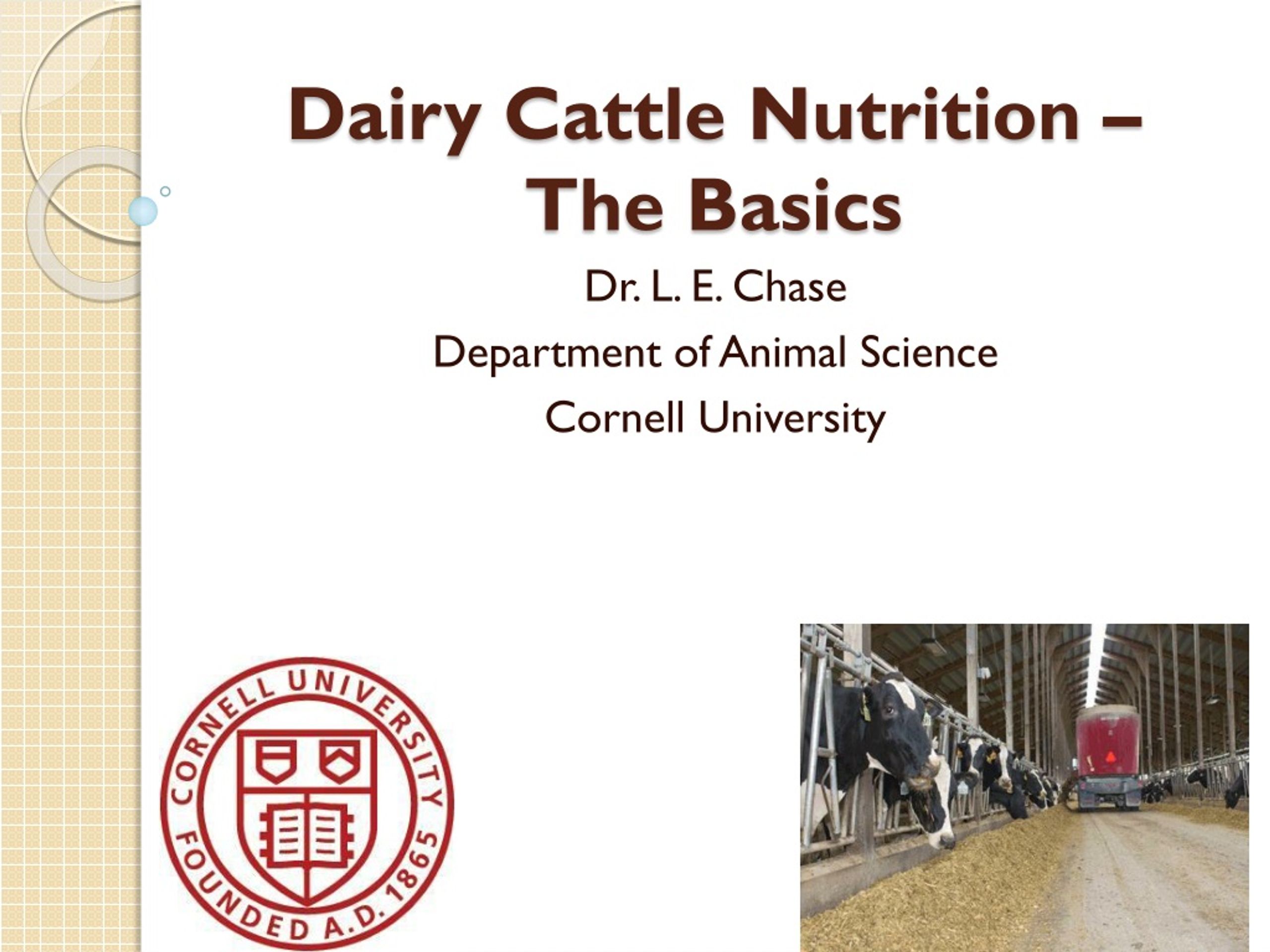 PPT - Dairy Cattle Nutrition – The Basics PowerPoint Presentation, free ...