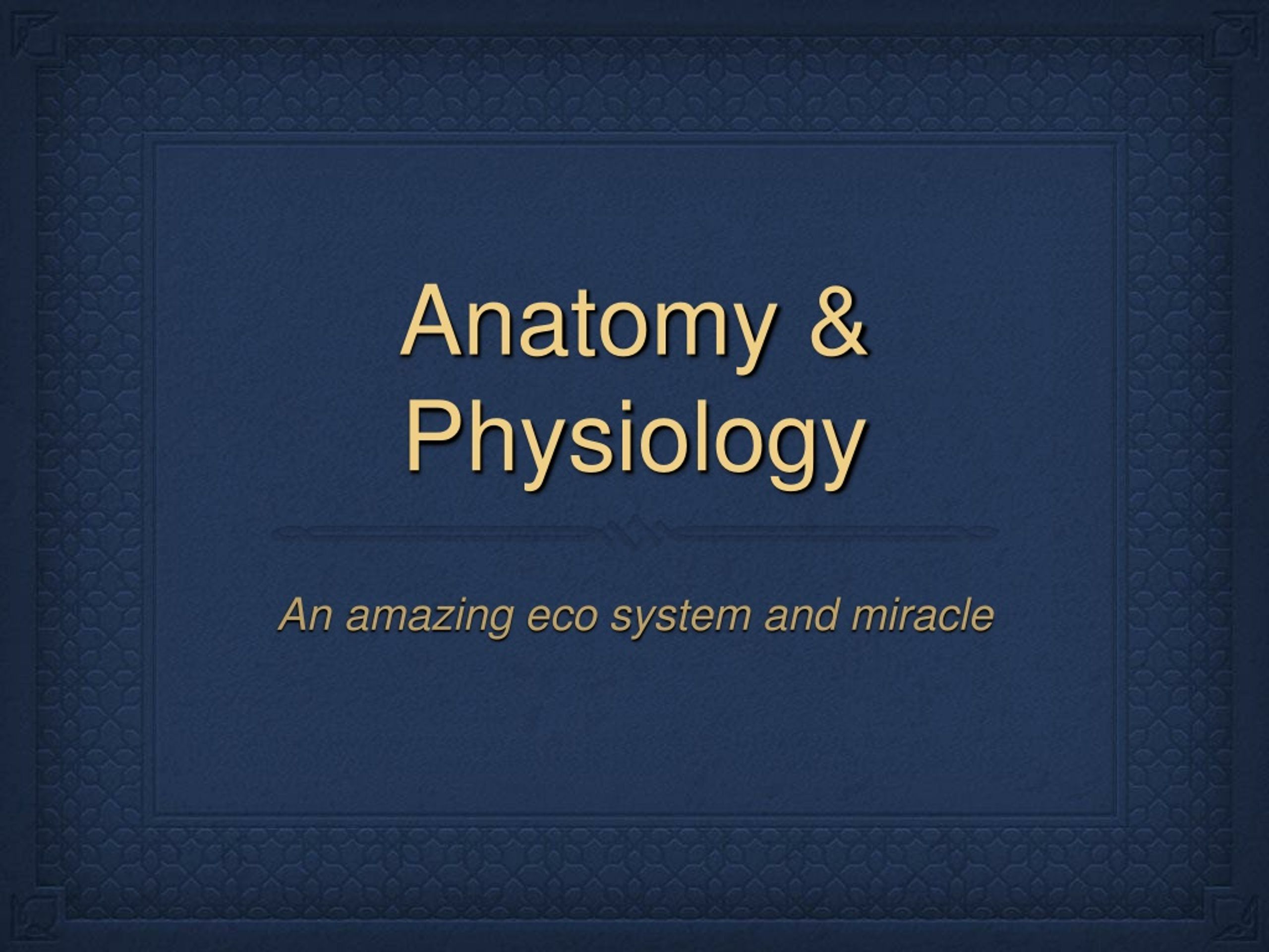 PPT - Anatomy & Physiology PowerPoint Presentation, free download - ID ...
