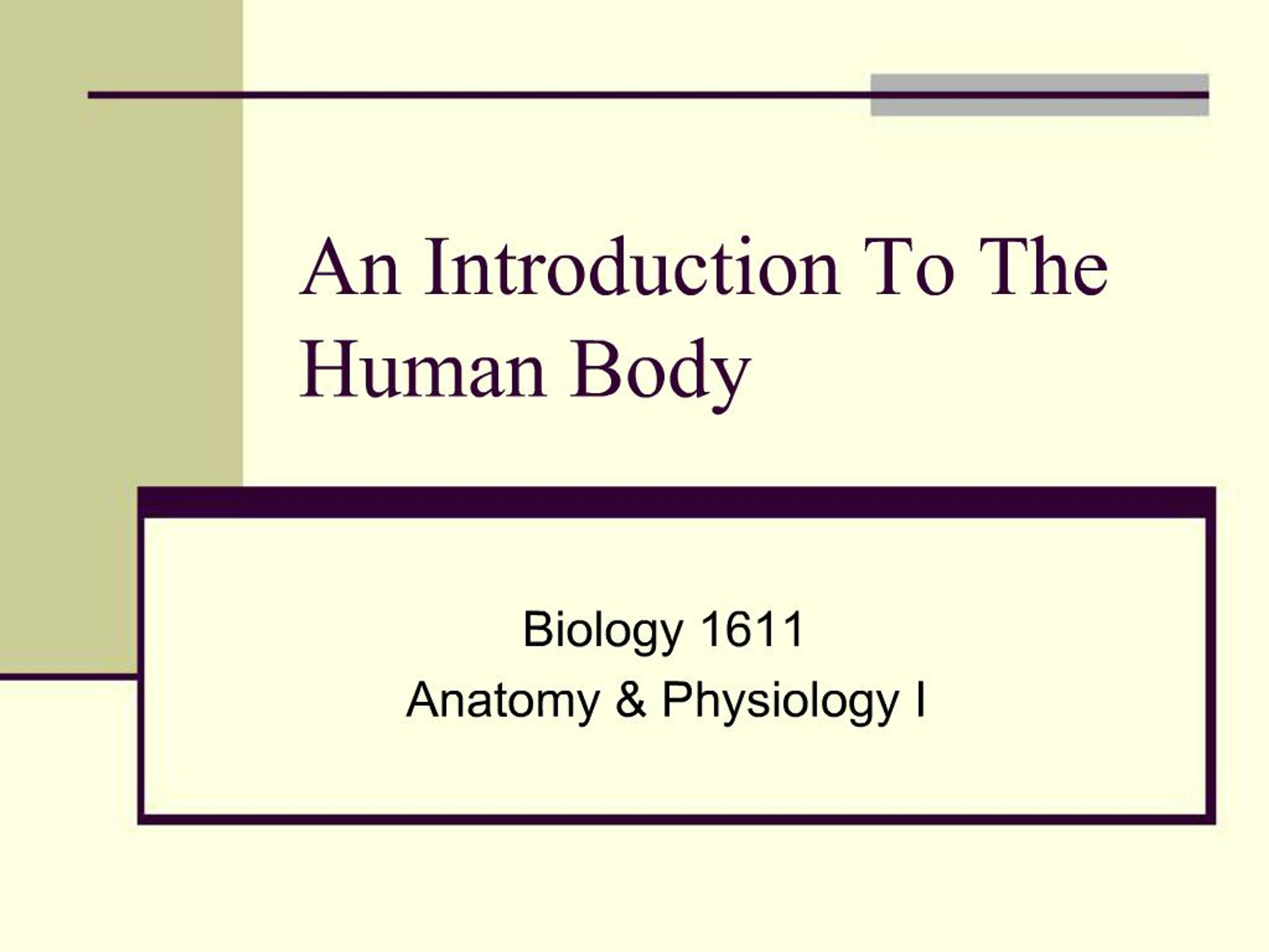 PPT - An Introduction To The Human Body PowerPoint Presentation, free ...