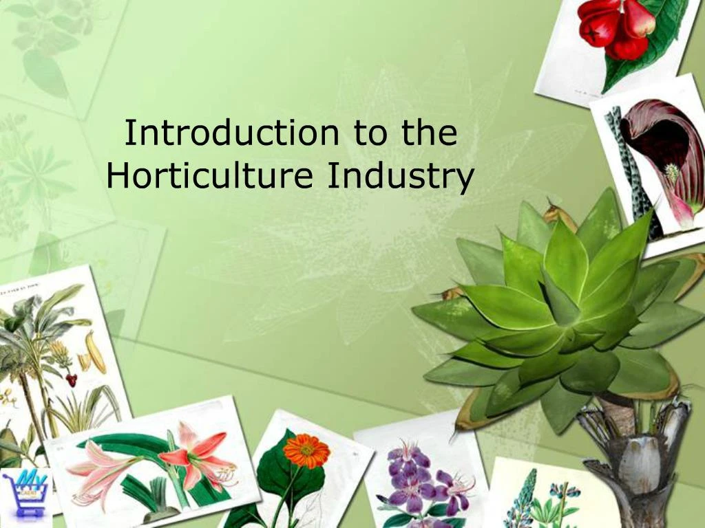 PPT - Introduction to the Horticulture Industry PowerPoint Presentation ...