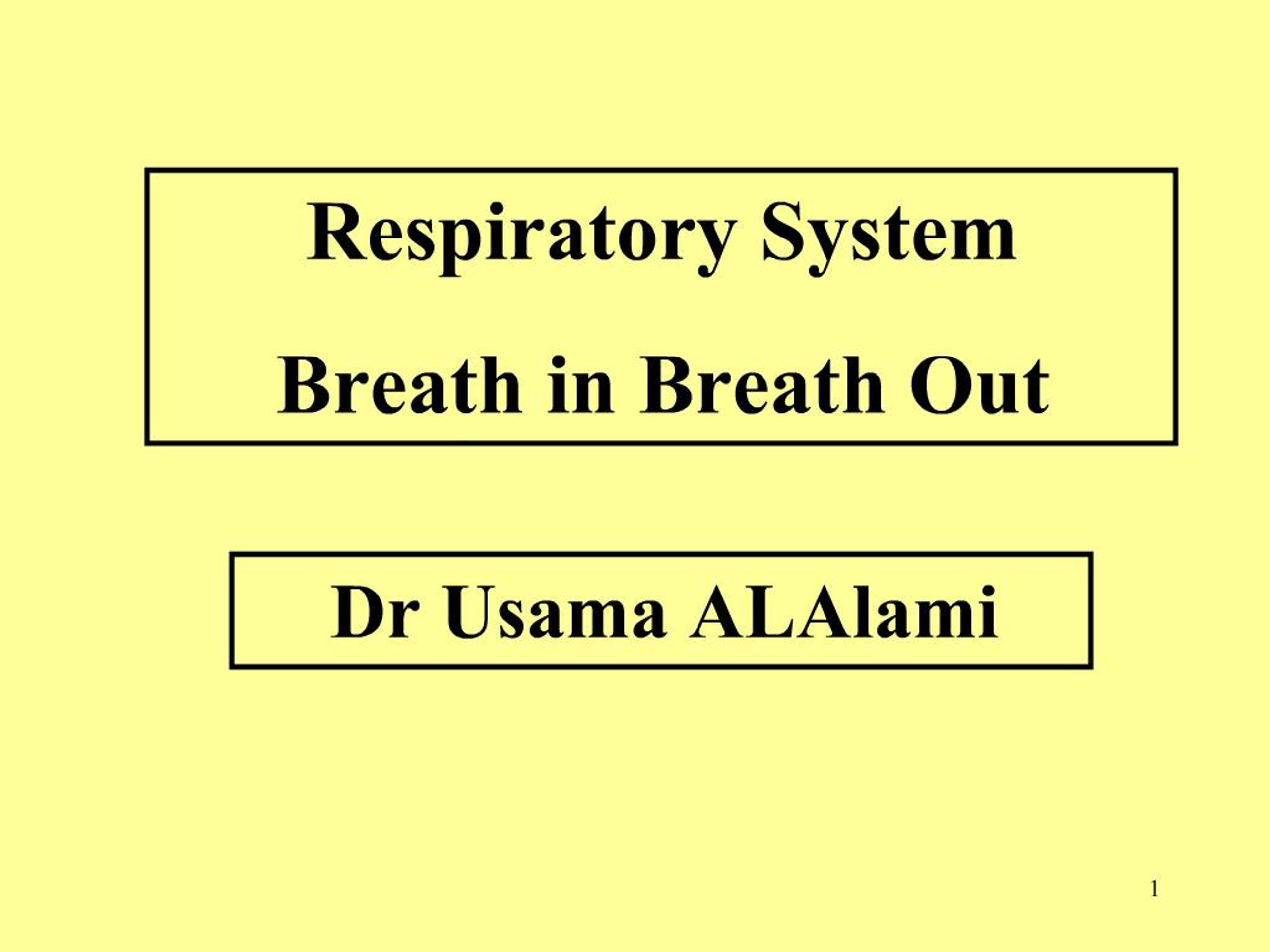 PPT - Respiratory System Breath in Breath Out PowerPoint Presentation ...
