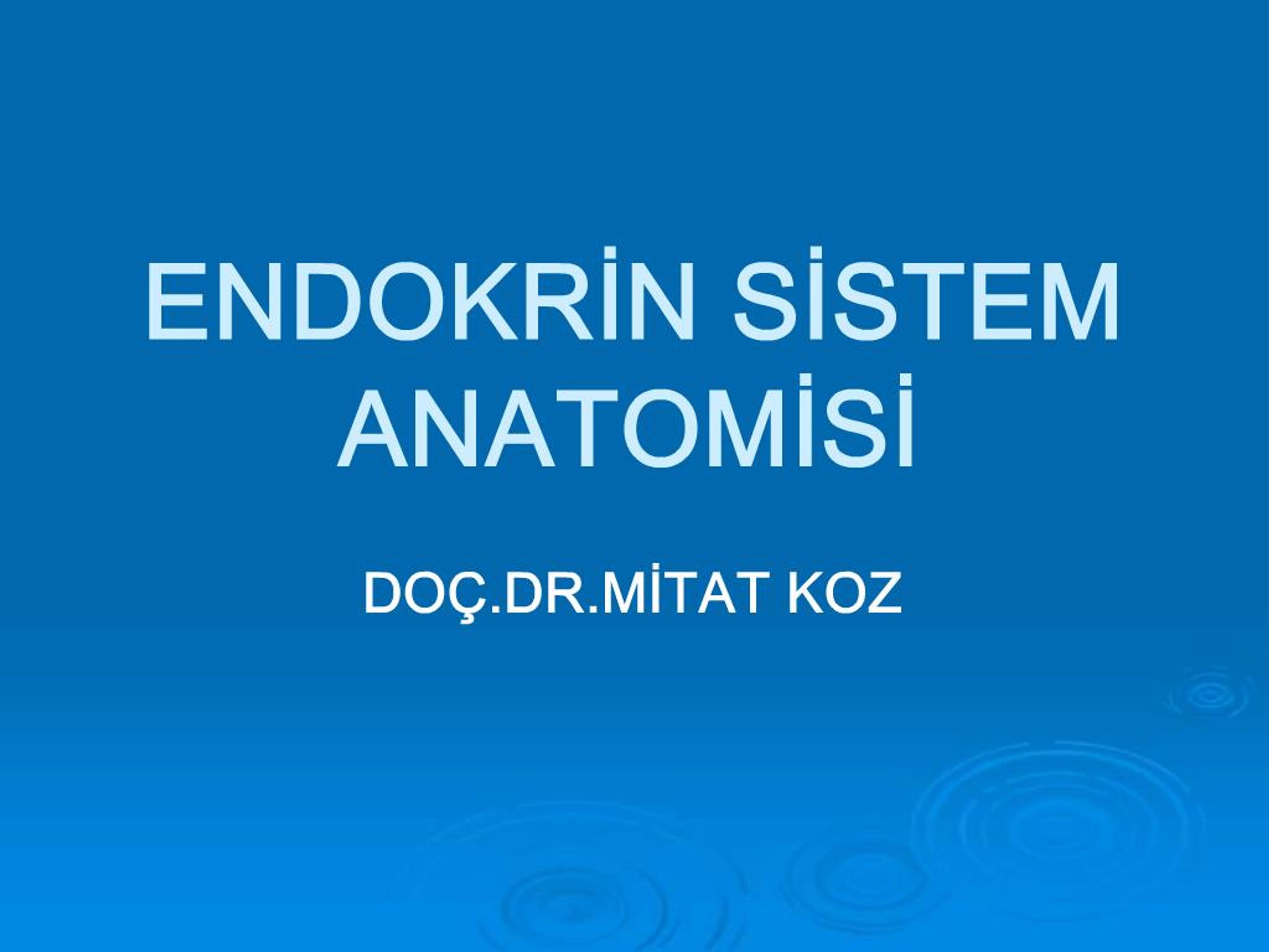 PPT - ENDOKRIN SISTEM ANATOMISI PowerPoint Presentation, free download ...