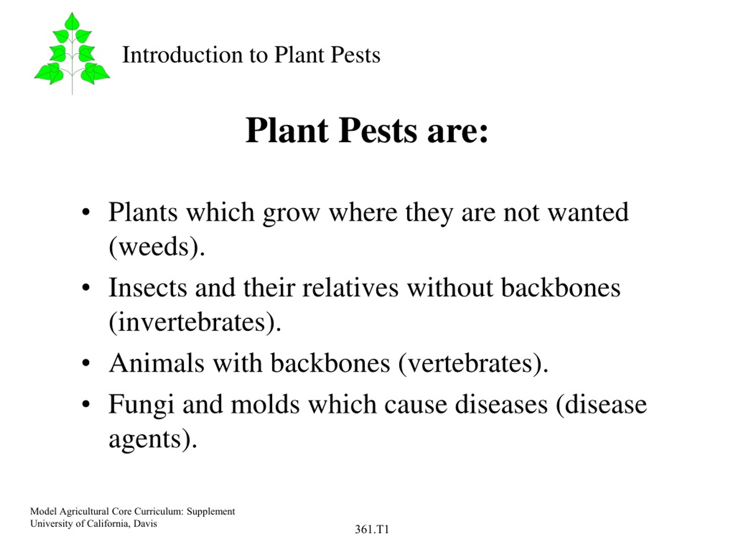 PPT - Plant Pests are: PowerPoint Presentation, free download - ID:356735